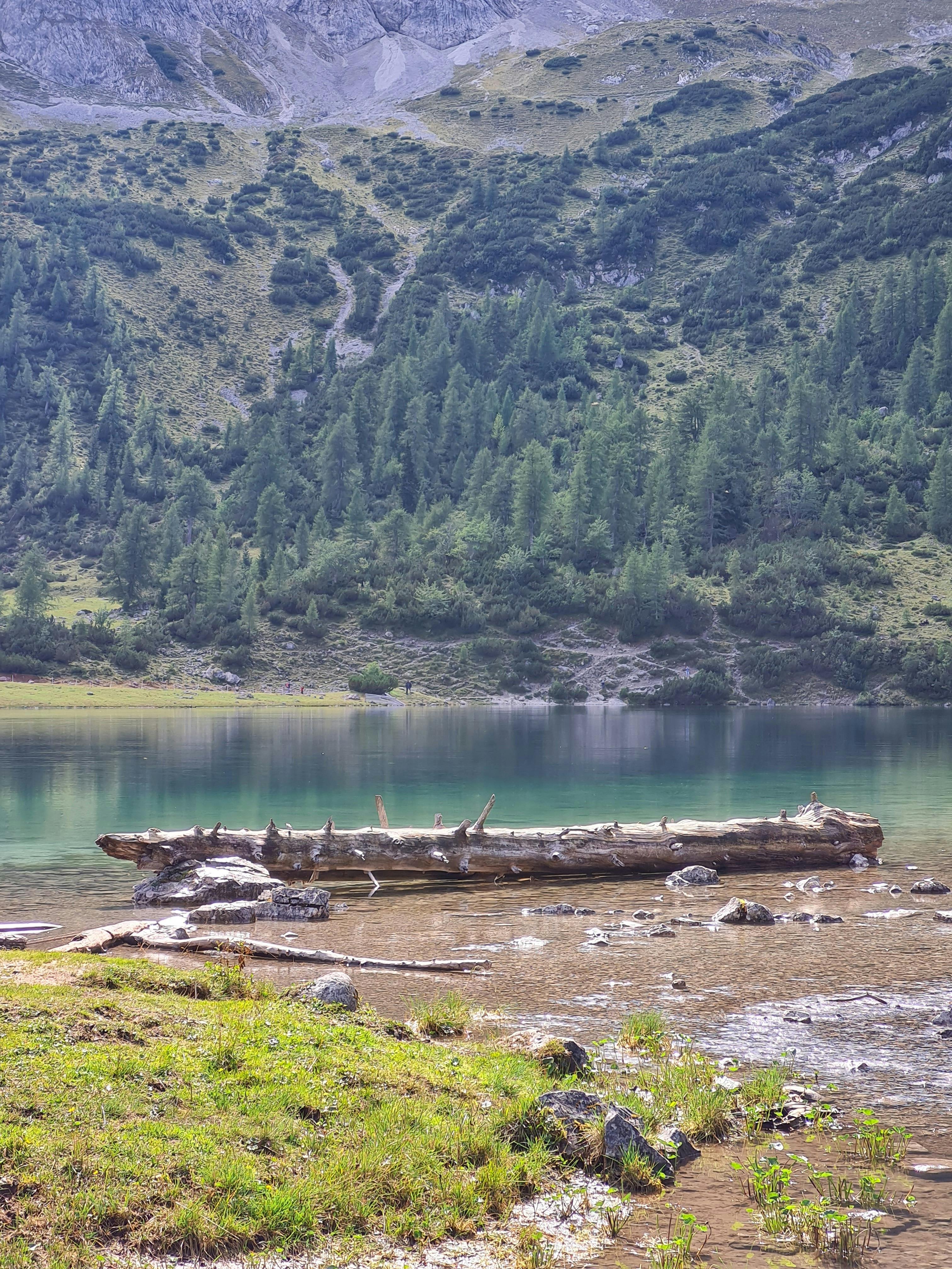 Seebensee Photos, Download The BEST Free Seebensee Stock Photos & HD Images