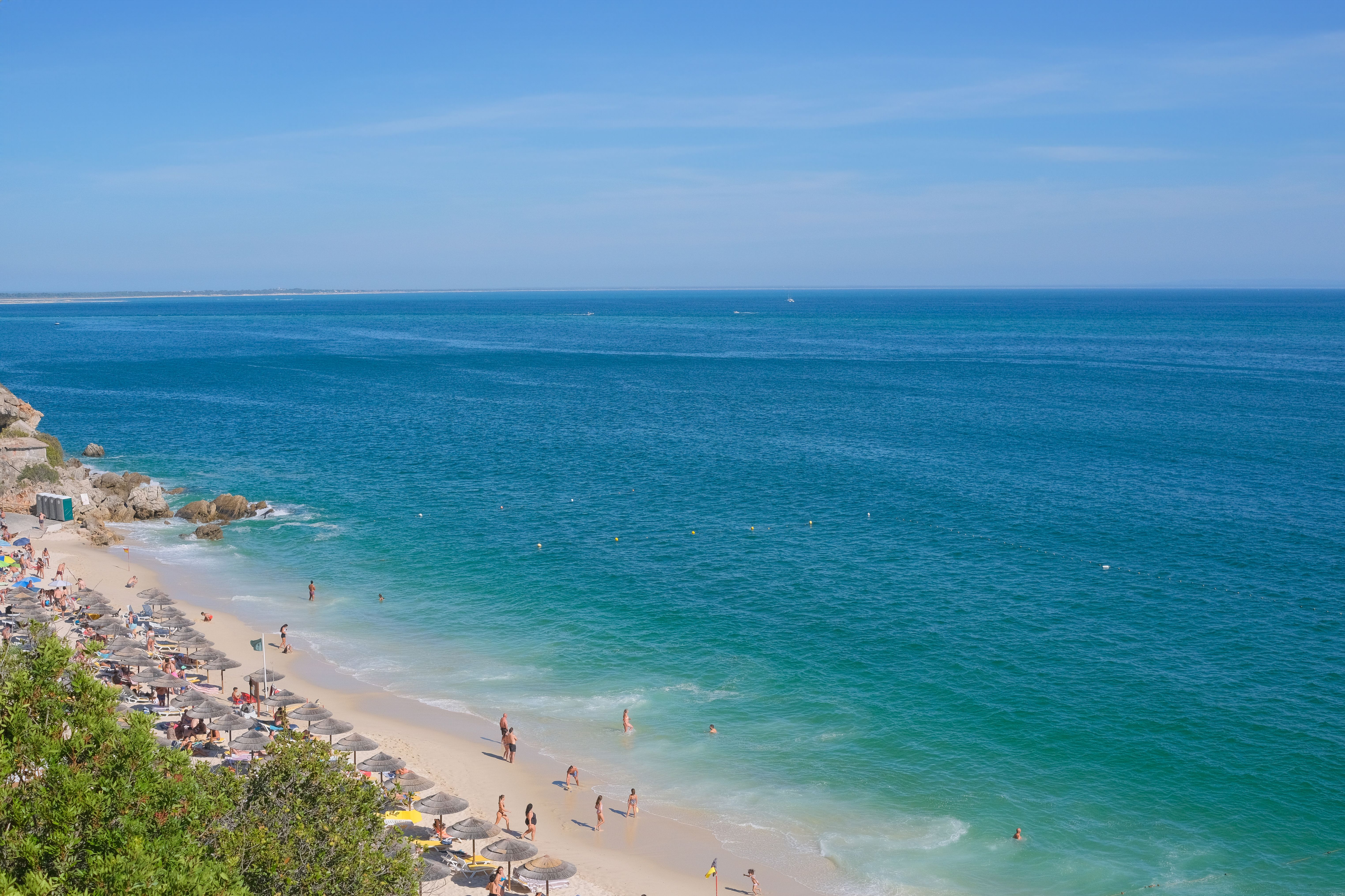 Aerial View of People on the Beach · Free Stock Photo