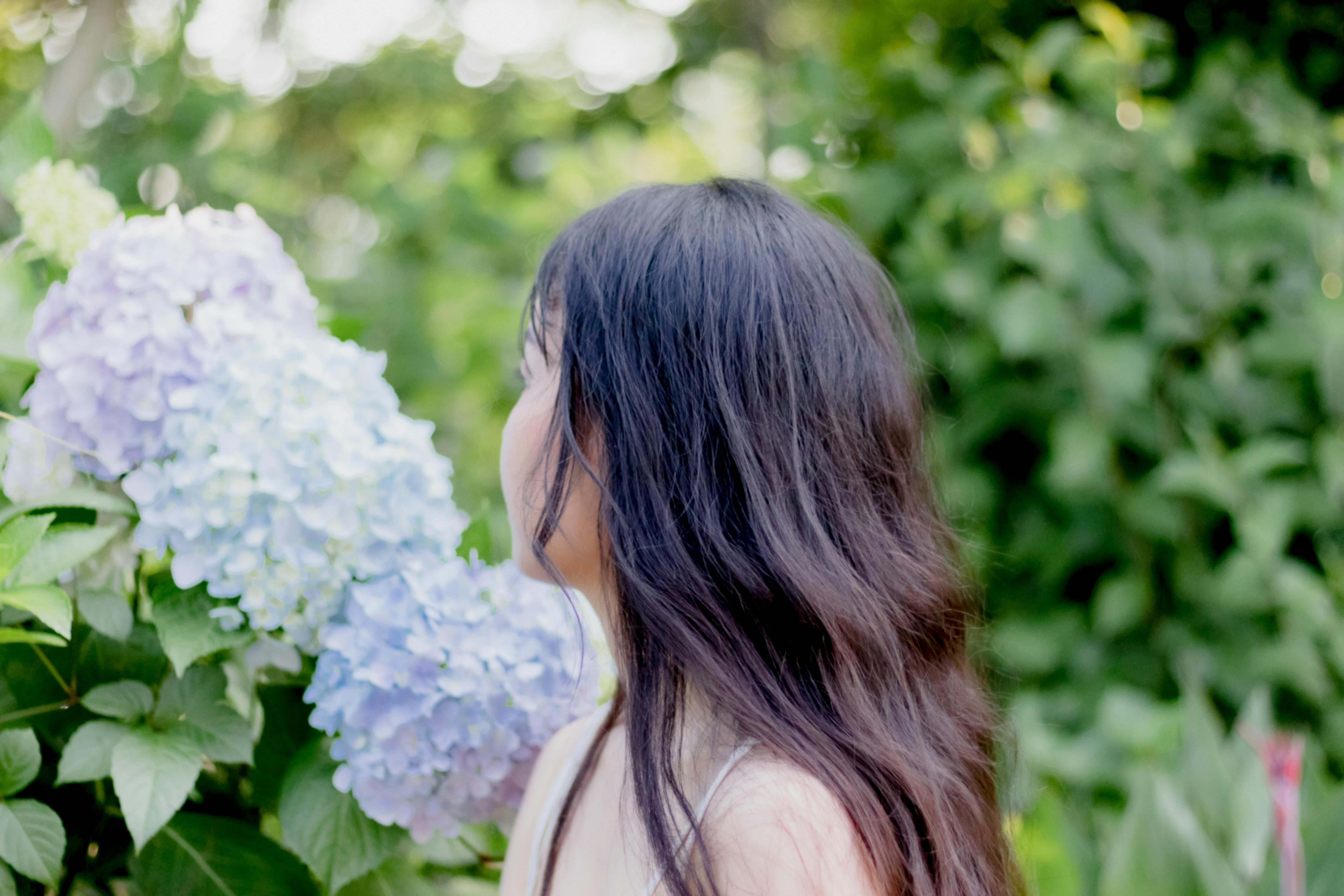 Woman and Hydrangea Flowers behind · Free Stock Photo