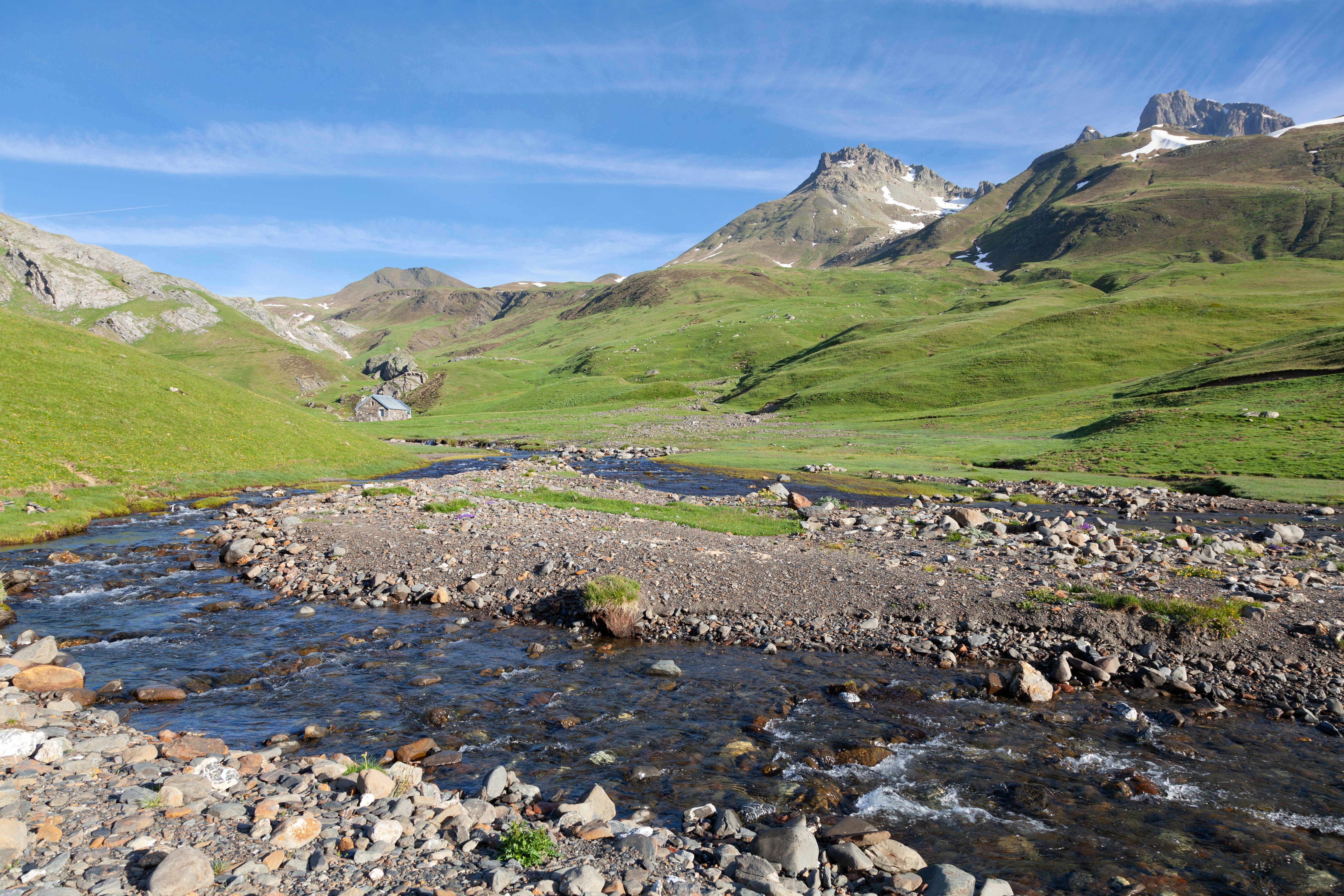 Stream in Valley · Free Stock Photo