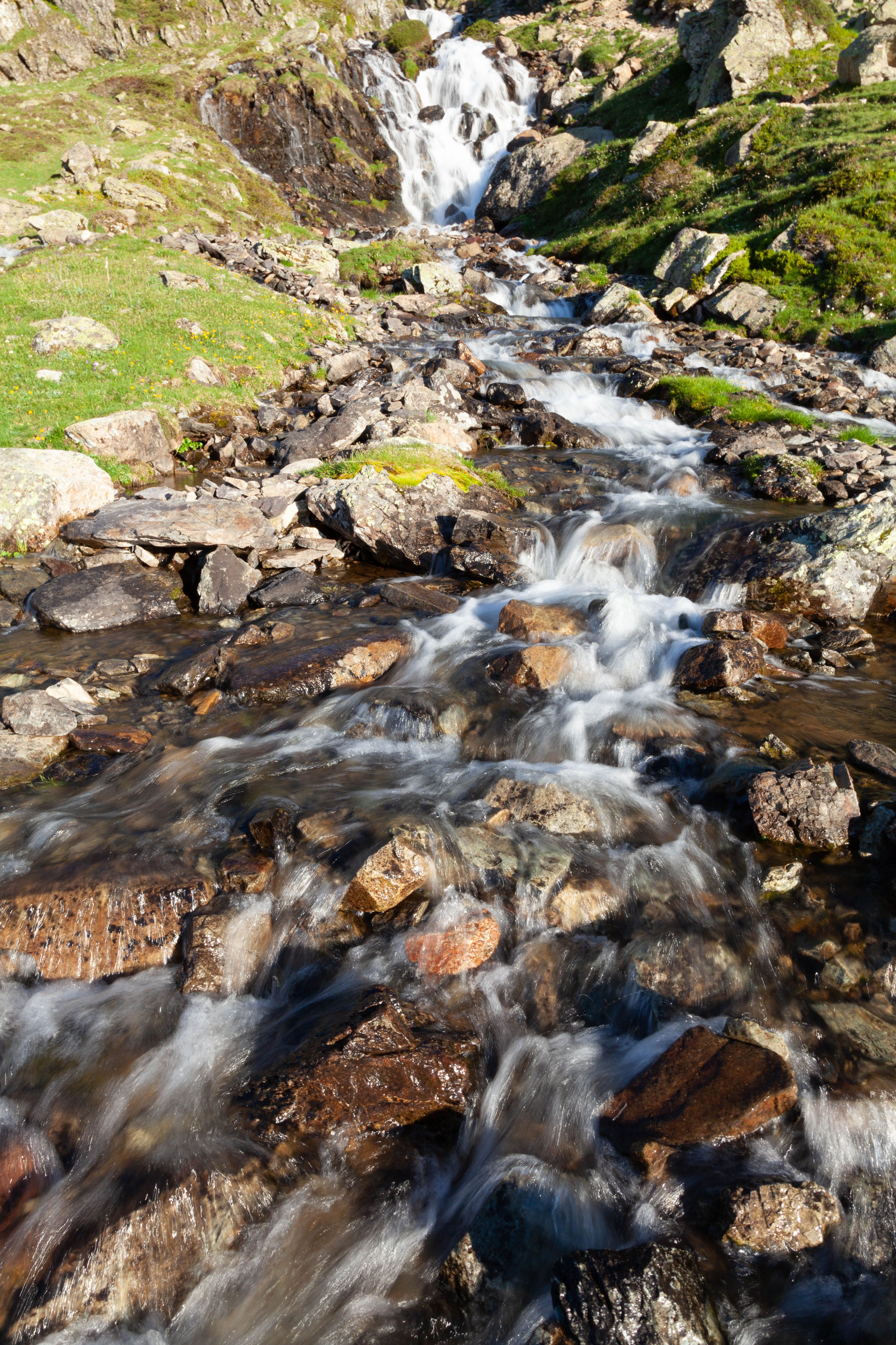 Rocky Stream Bed on a Mountainside · Free Stock Photo