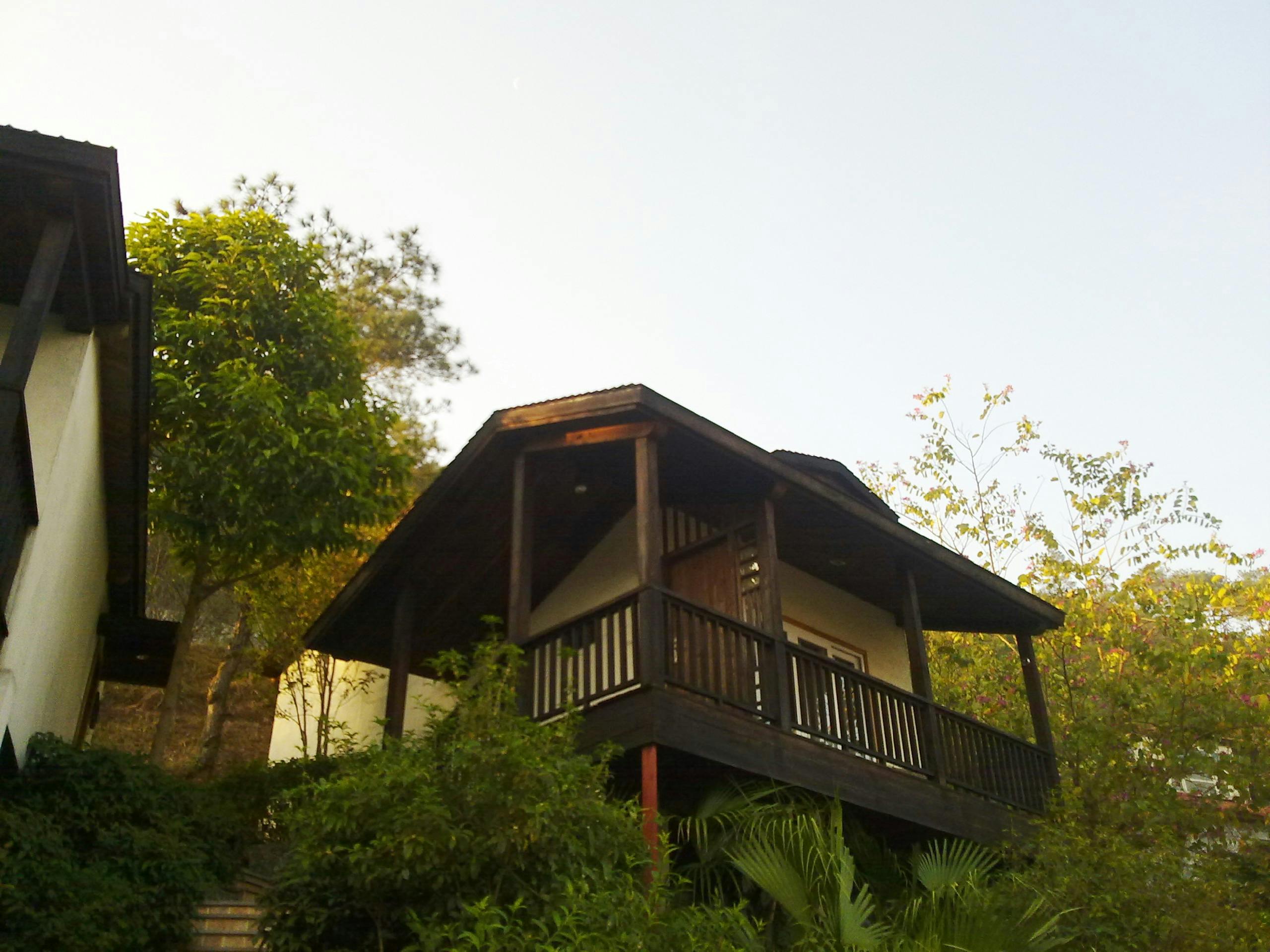 Amy Law - Photographie