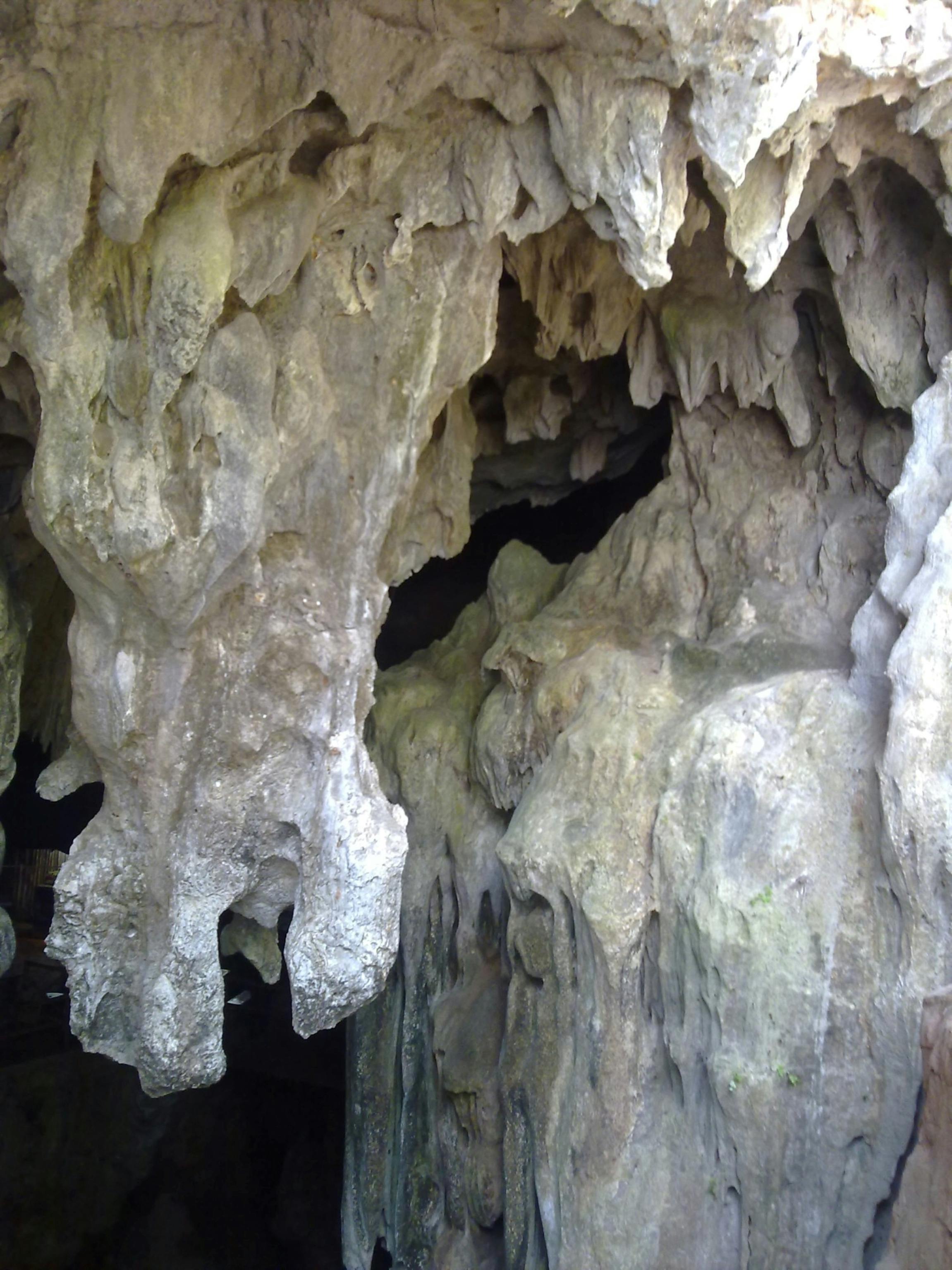 Amy Law - Photographie