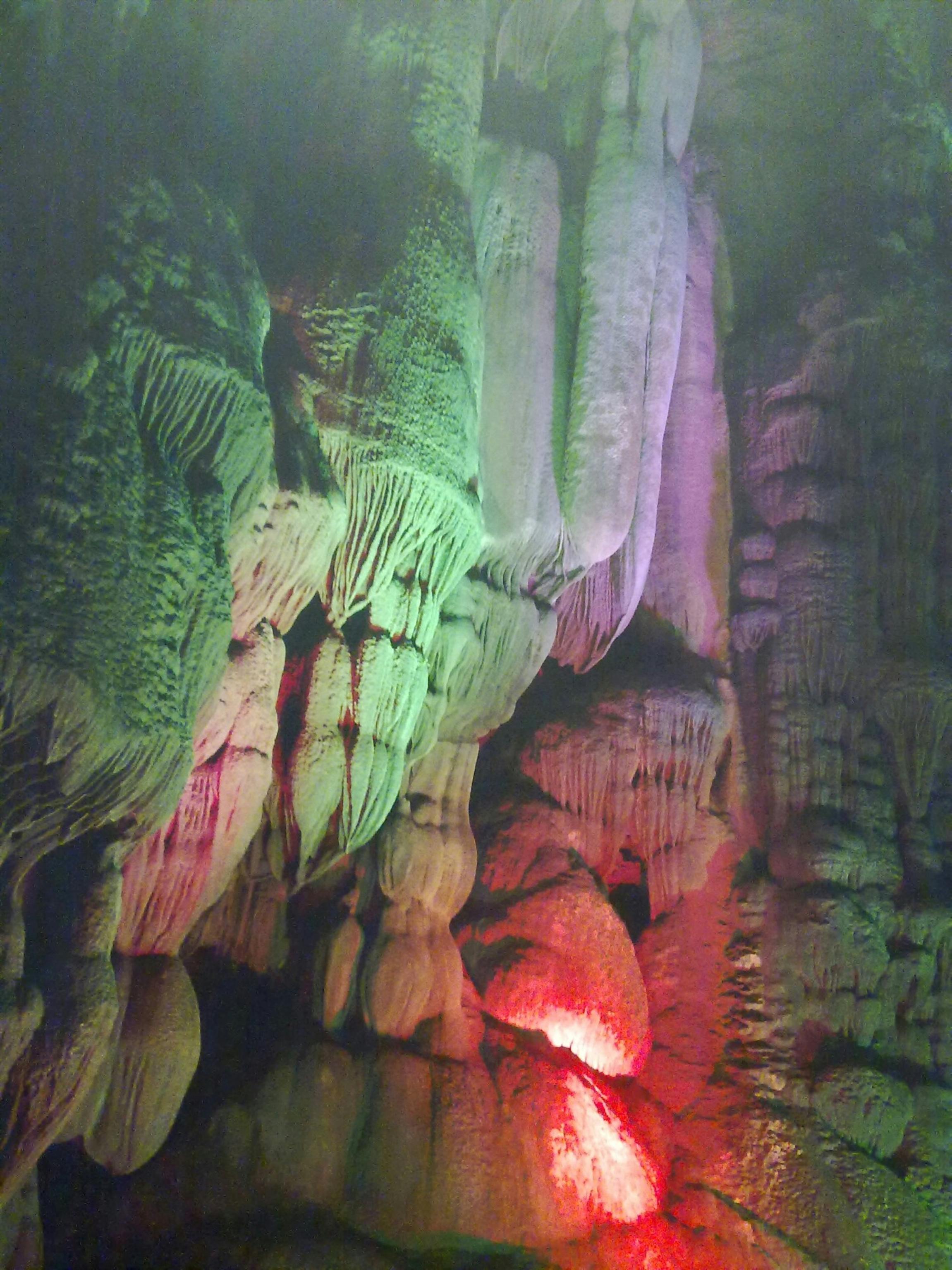 Amy Law - Photographie