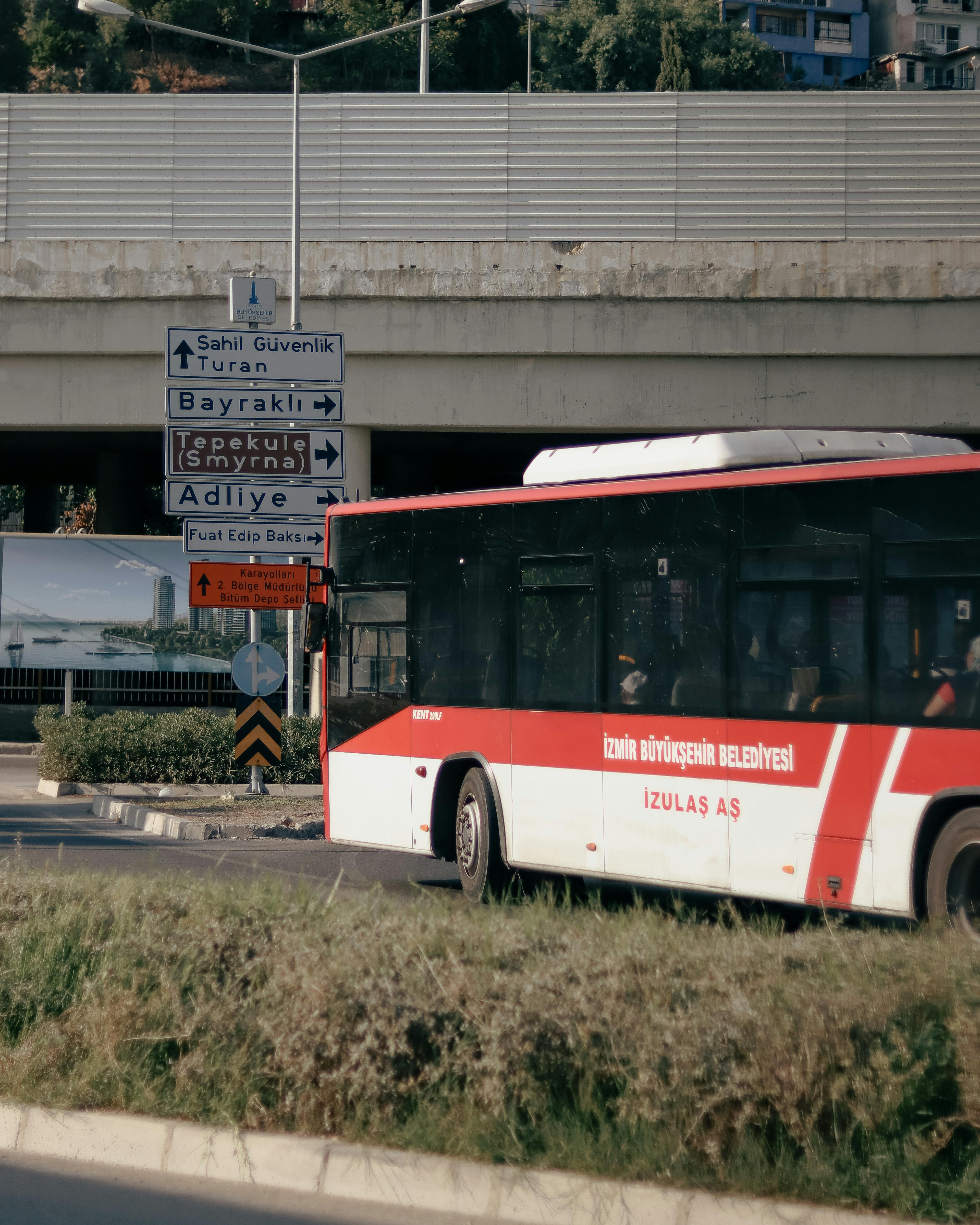 Red Bus Near Bus Stop Behind Green Trees · Free Stock Photo