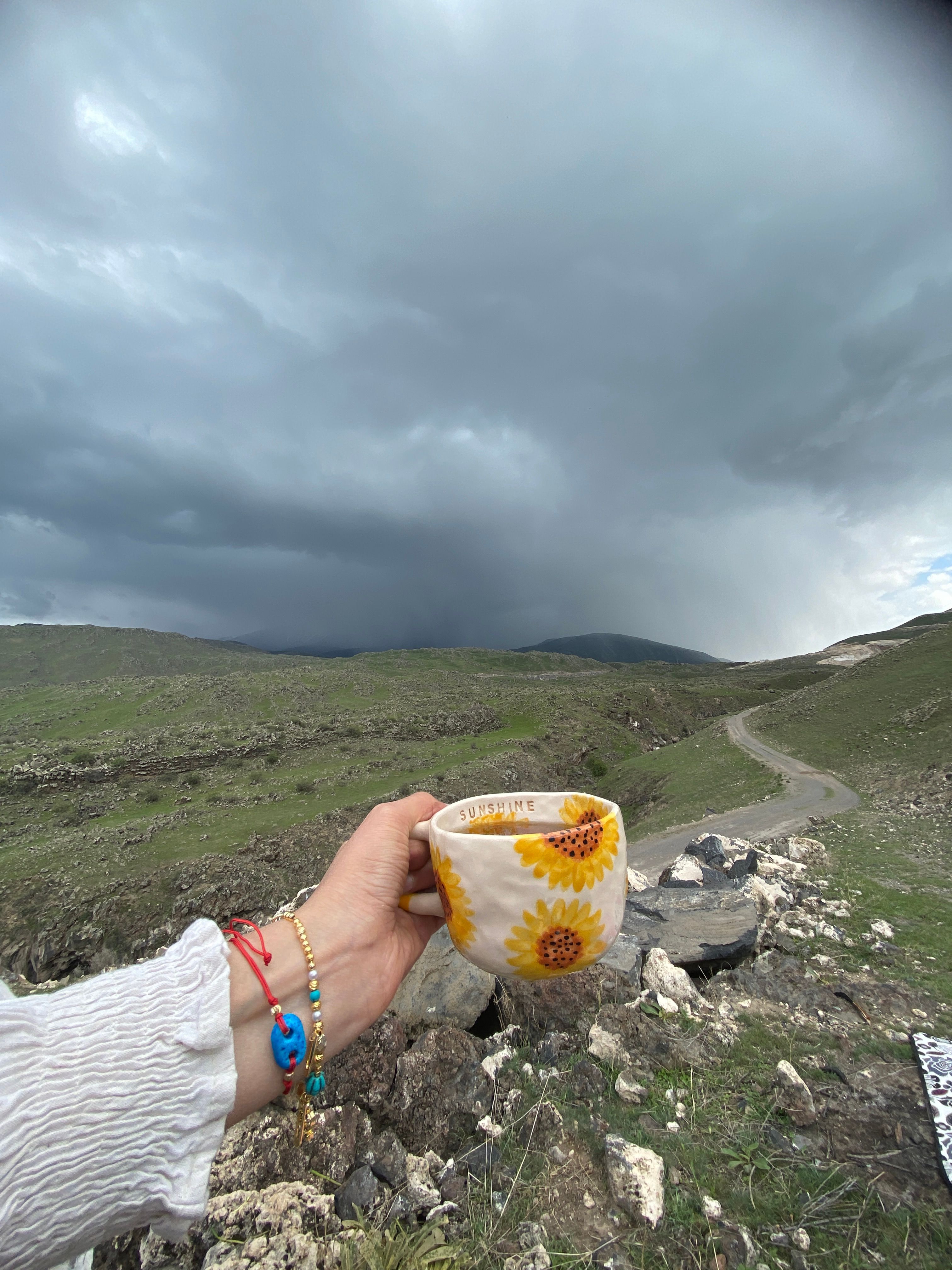 Coffee Mountains Photos, Download The BEST Free Coffee Mountains Stock ...