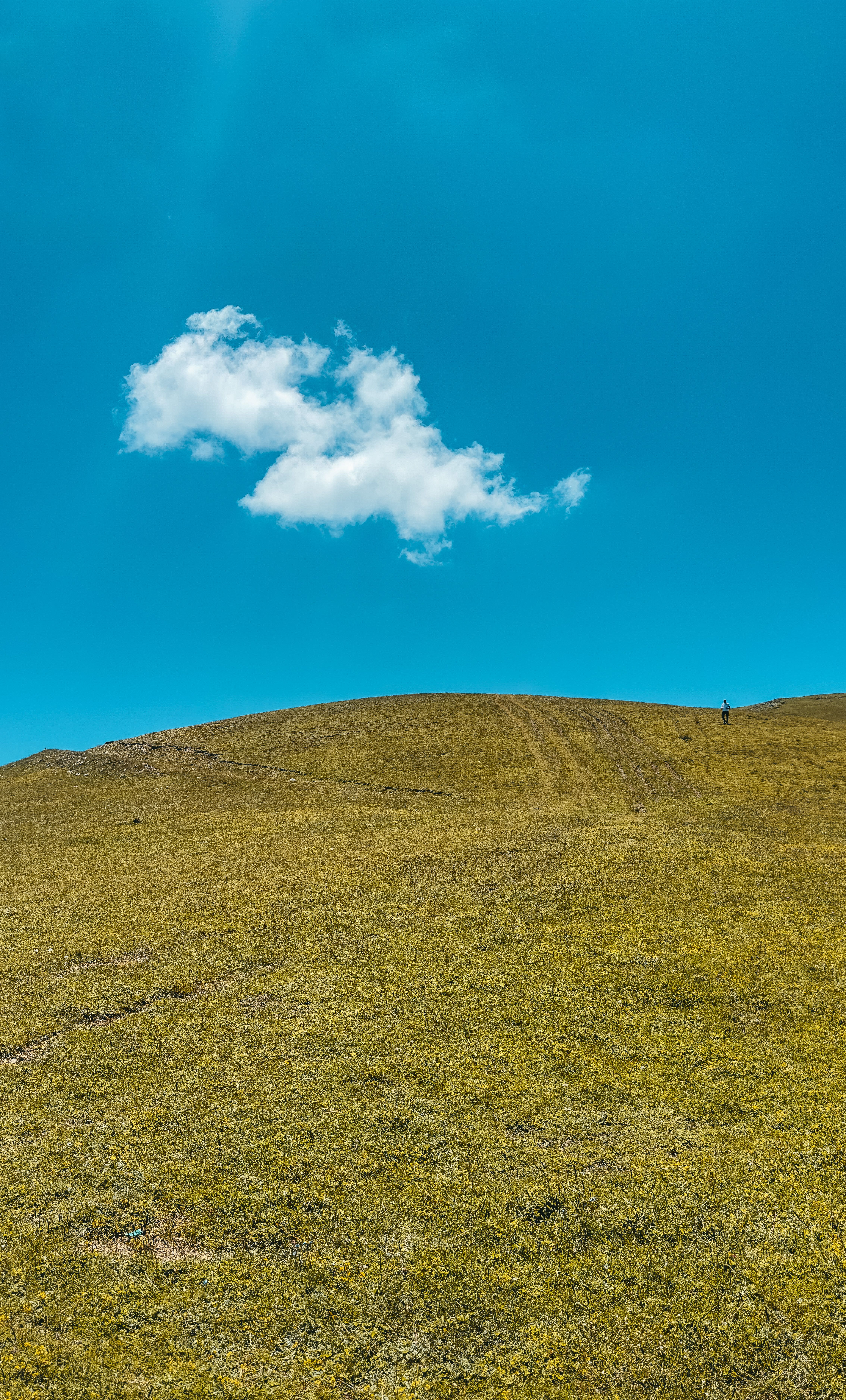 View of an Empty Grass Hill under Blue Sky · Free Stock Photo