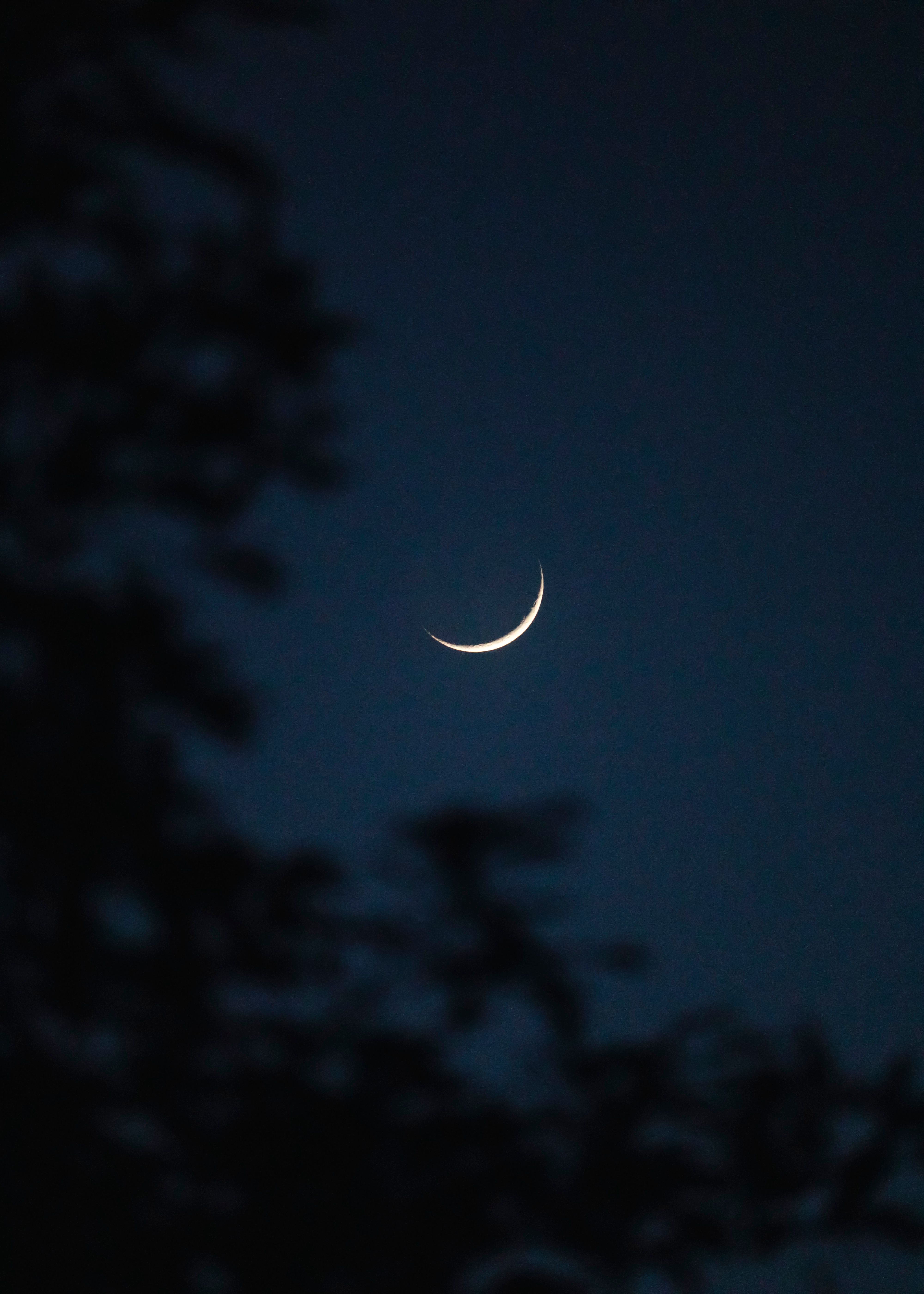 View of Crescent Moon against a Dark Blue Sky · Free Stock Photo