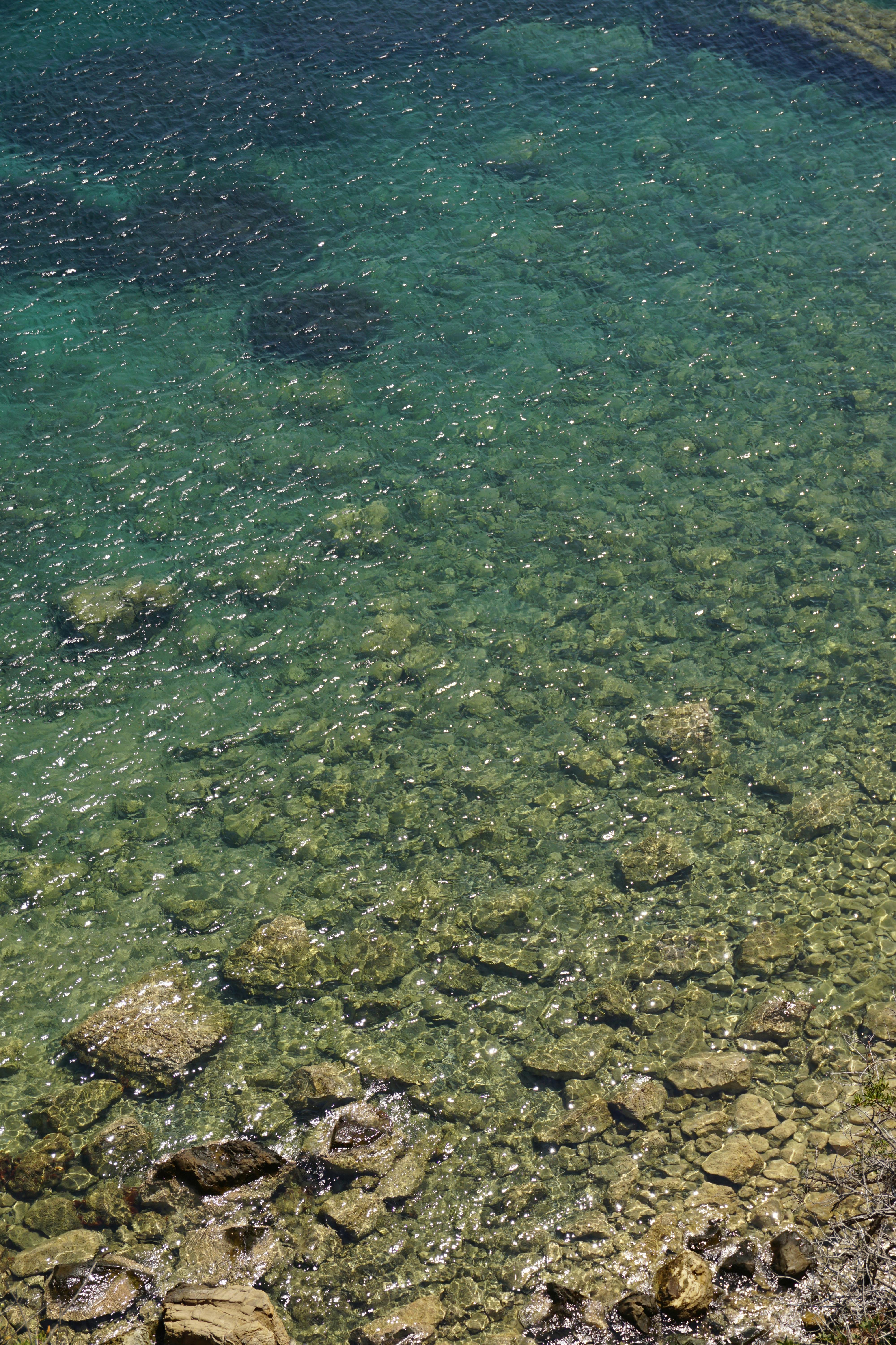 Photo of a Rocky Shallow · Free Stock Photo