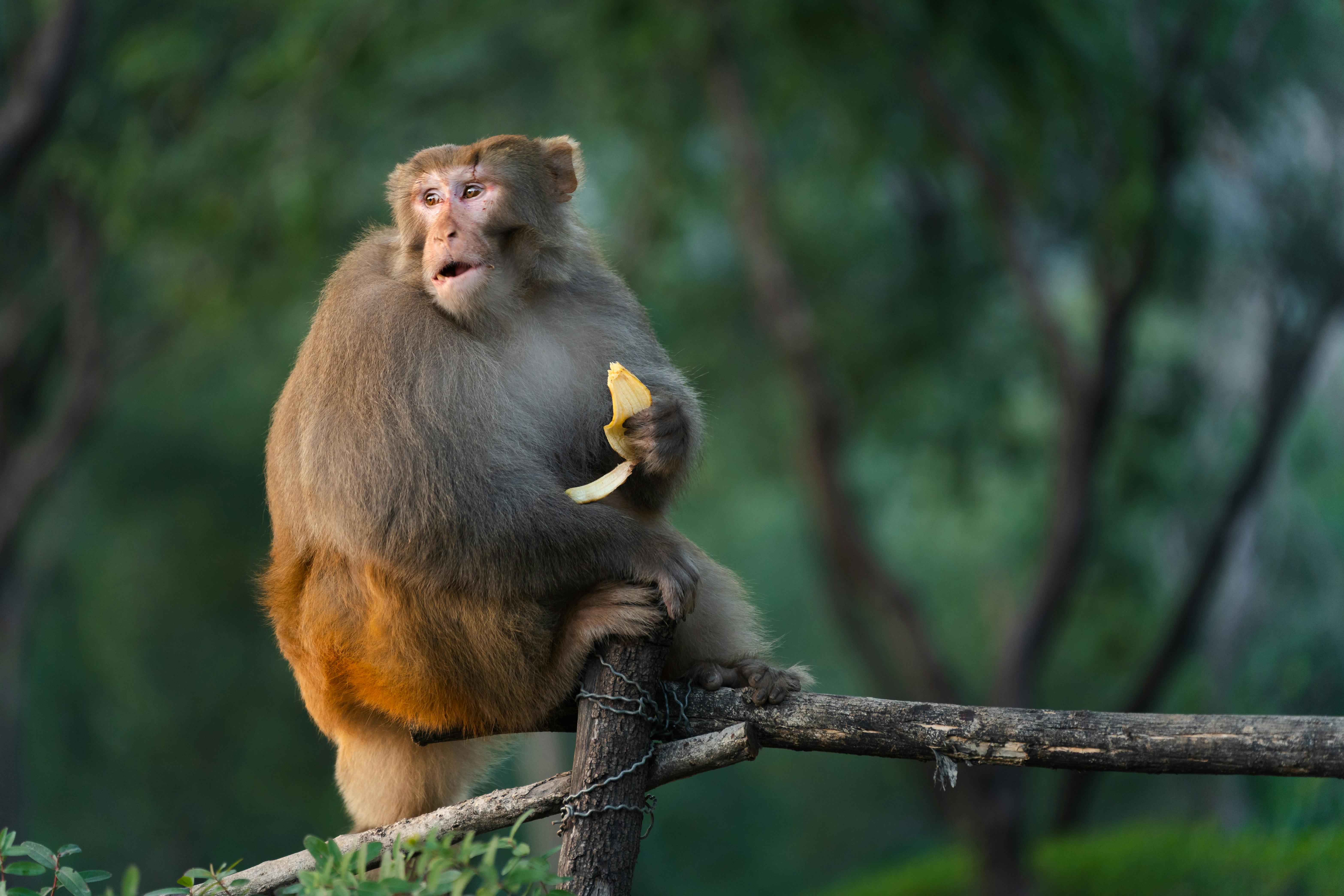 Mian Rizwan - Photography