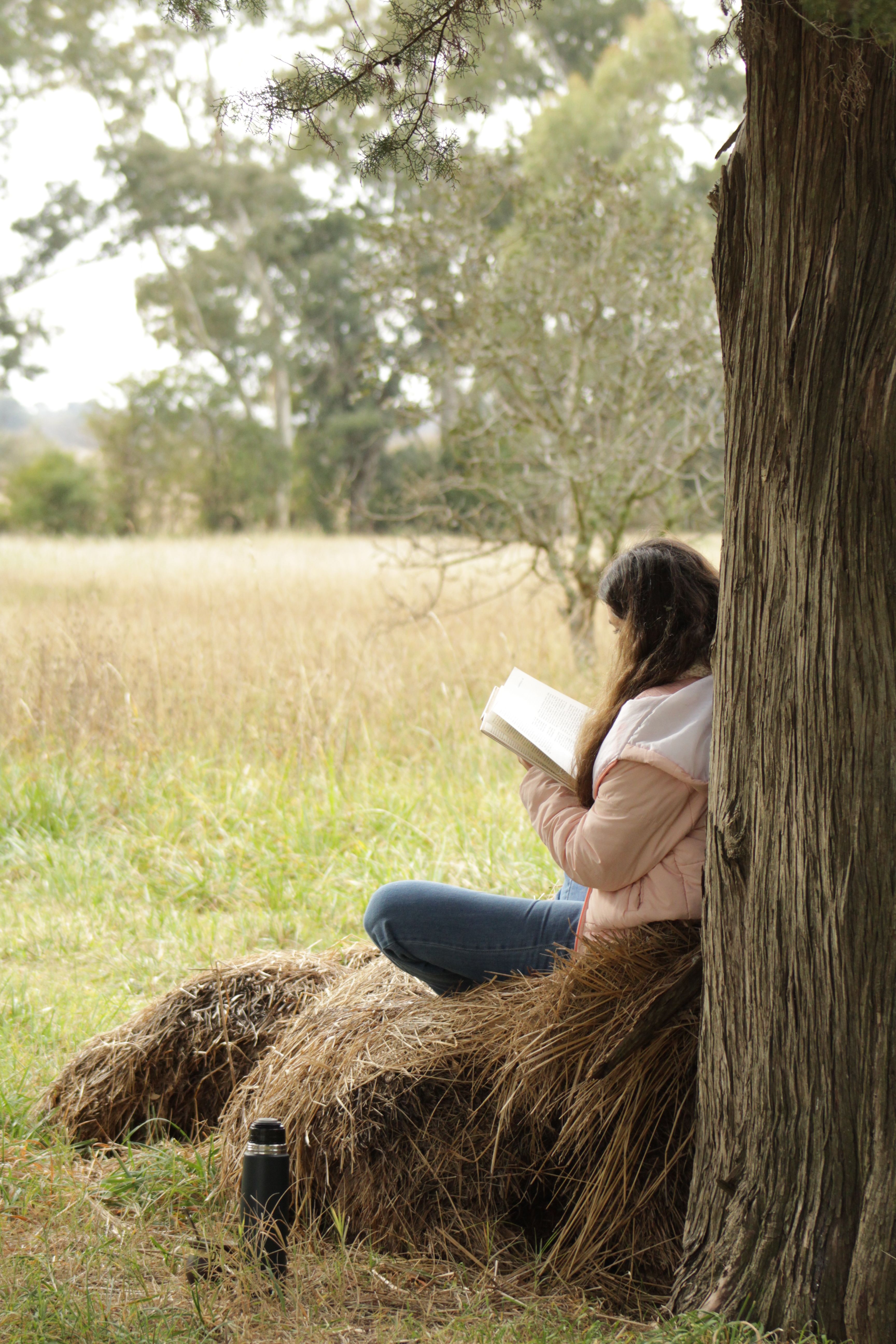 Girl Sitting on Hay in Countryside and Reading Book · Free Stock Photo