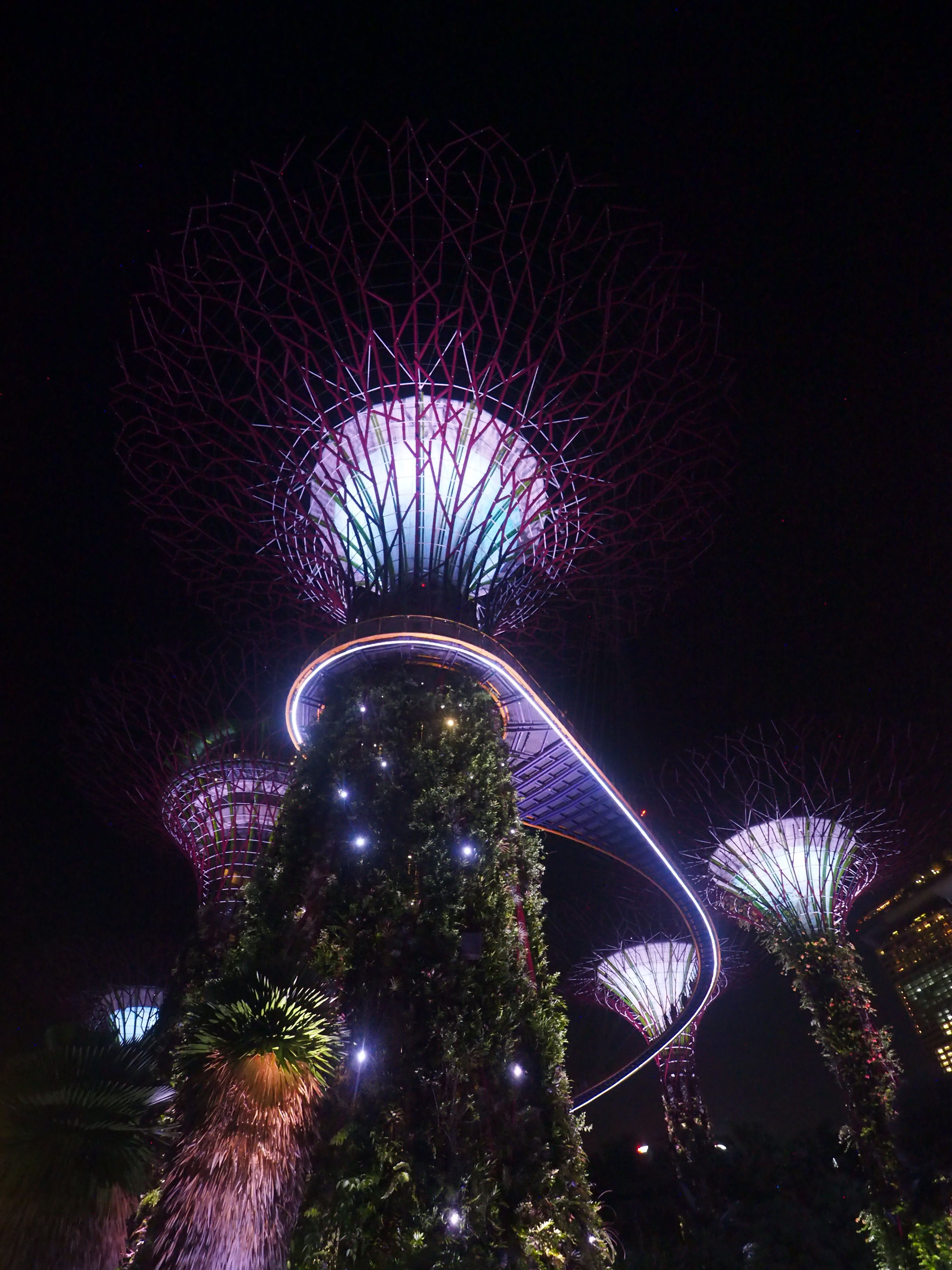 Lighted Supertree Grove · Free Stock Photo