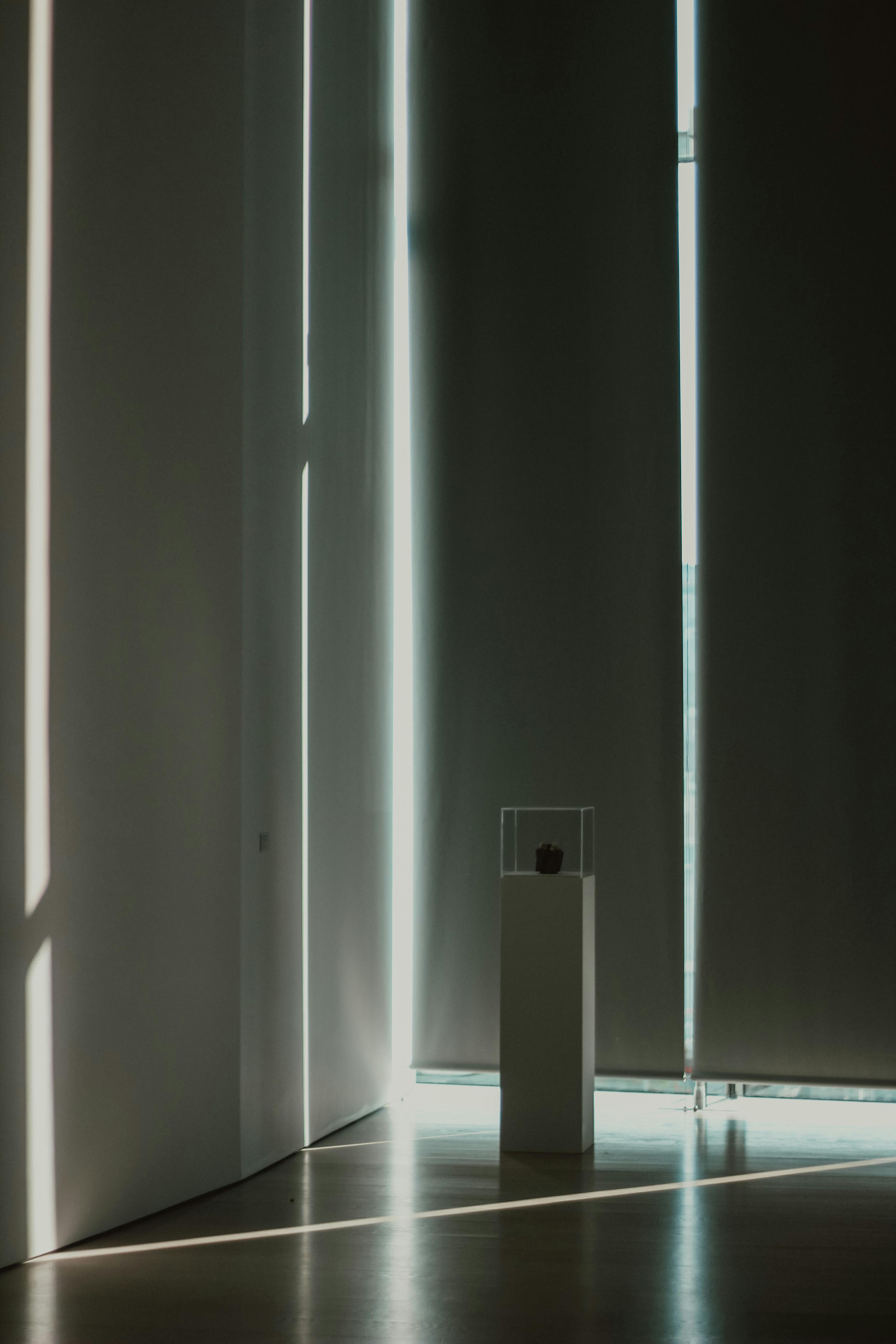 Museum Pedestal Photos, Download The BEST Free Museum Pedestal Stock ...