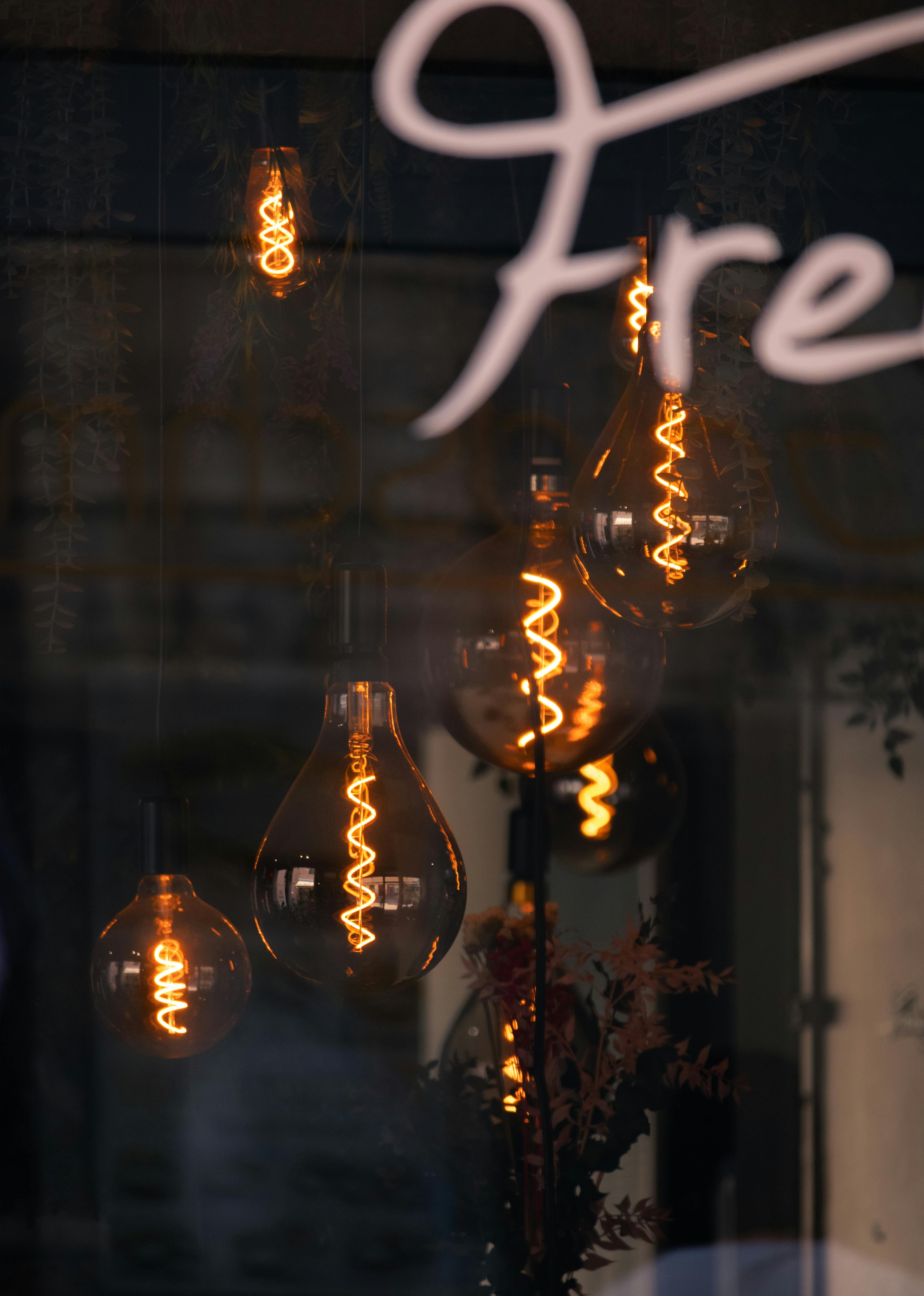 A sign that says free with light bulbs hanging from it · Free Stock Photo