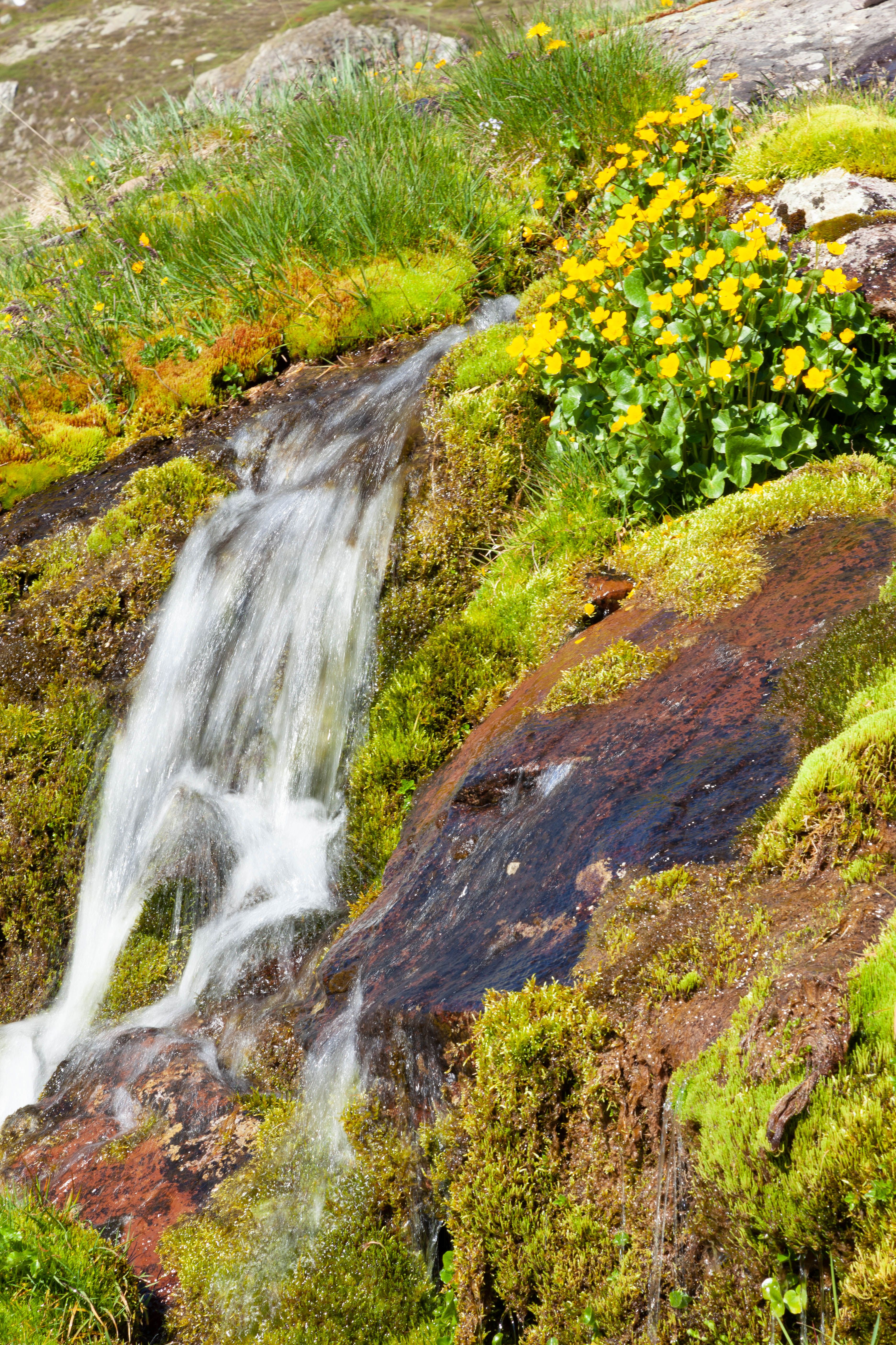 Photo gratuite de cailloux, cascade, eau qui coule, flot, france ...