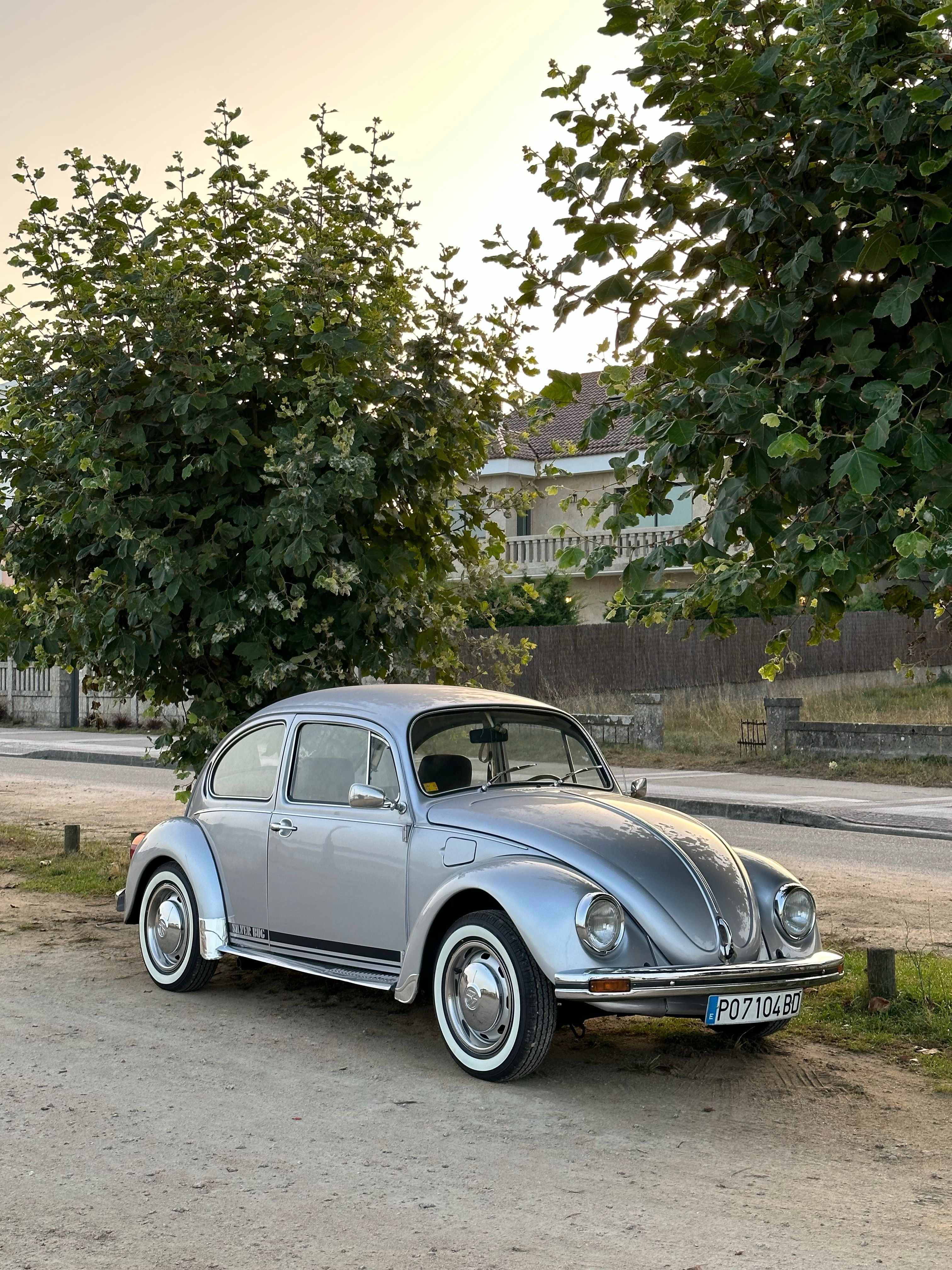 Gray Volkswagen Beetle · Free Stock Photo