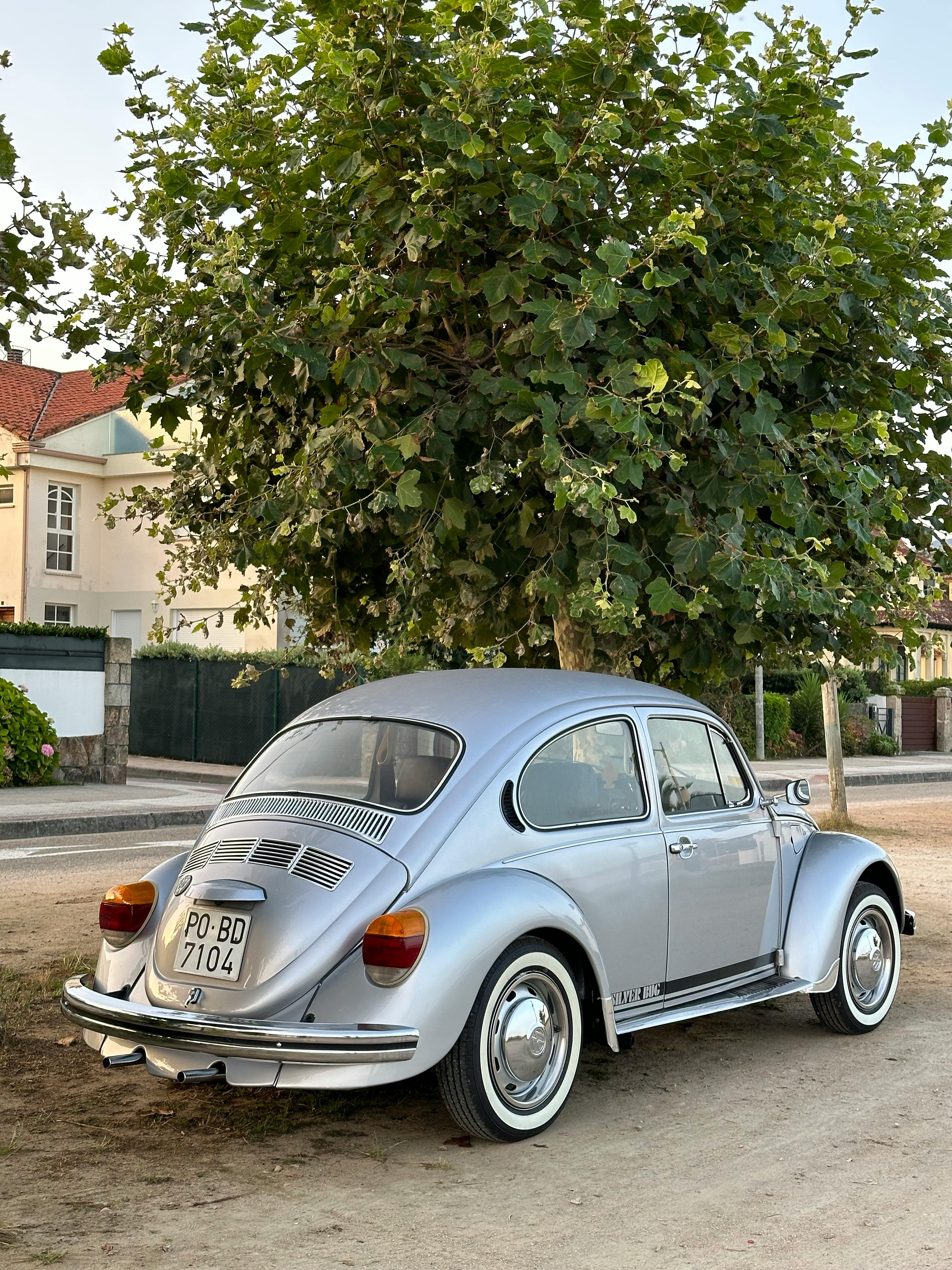 Classic Silver Volkswagen Beetle · Free Stock Photo
