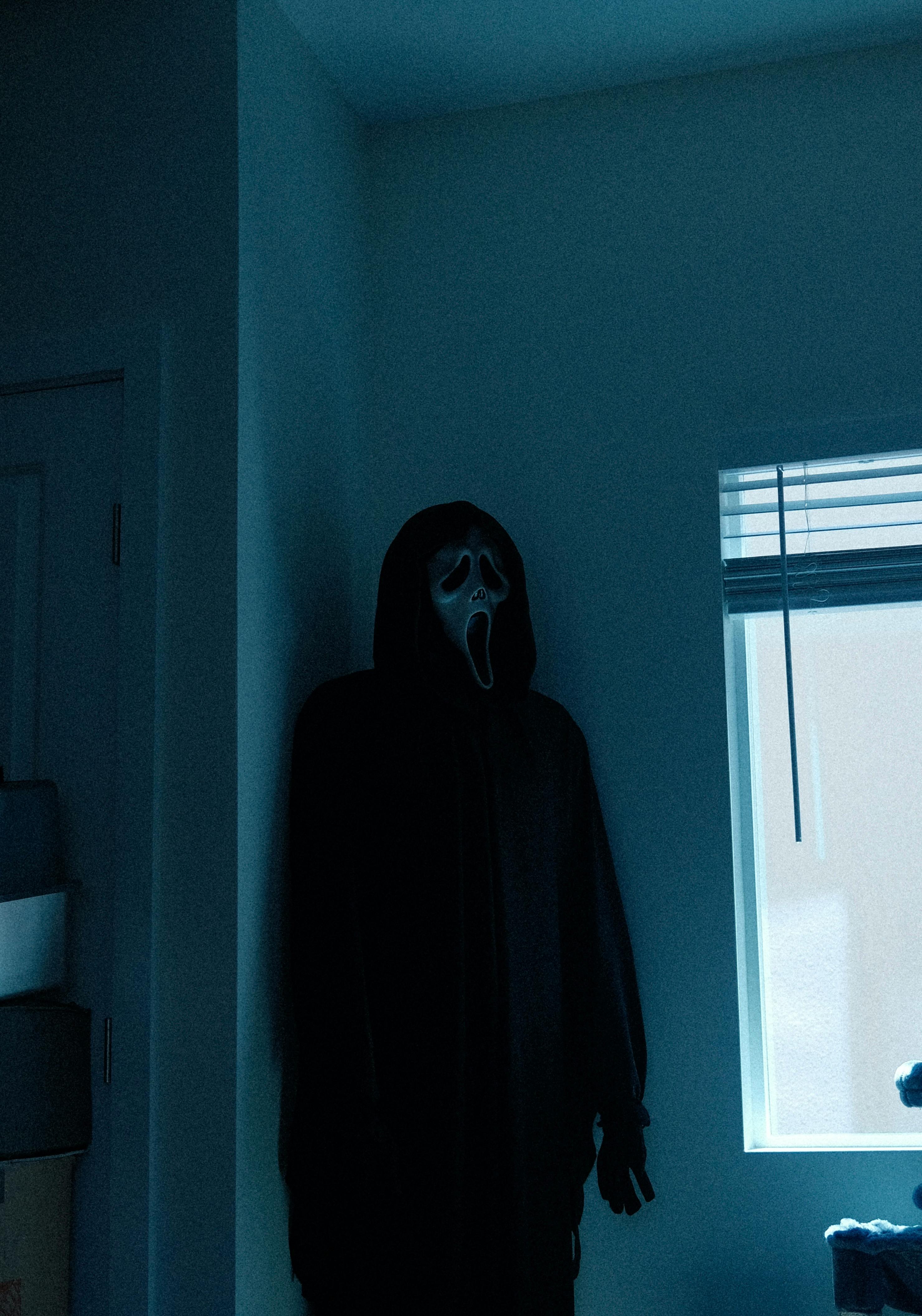 Man Wearing Black and Blue Mask Costume · Free Stock Photo