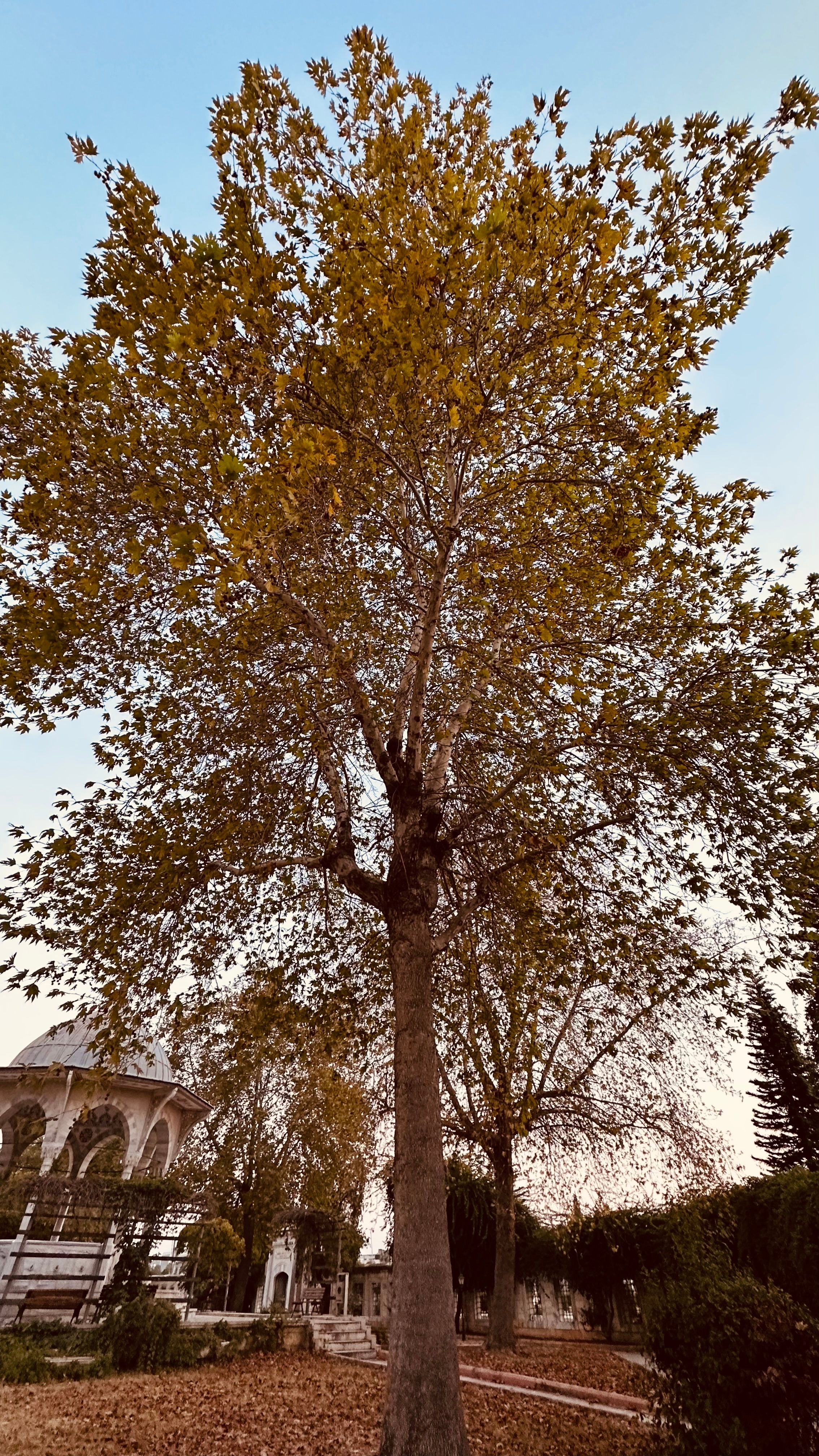 Zeynep Altunkaynak - Photography