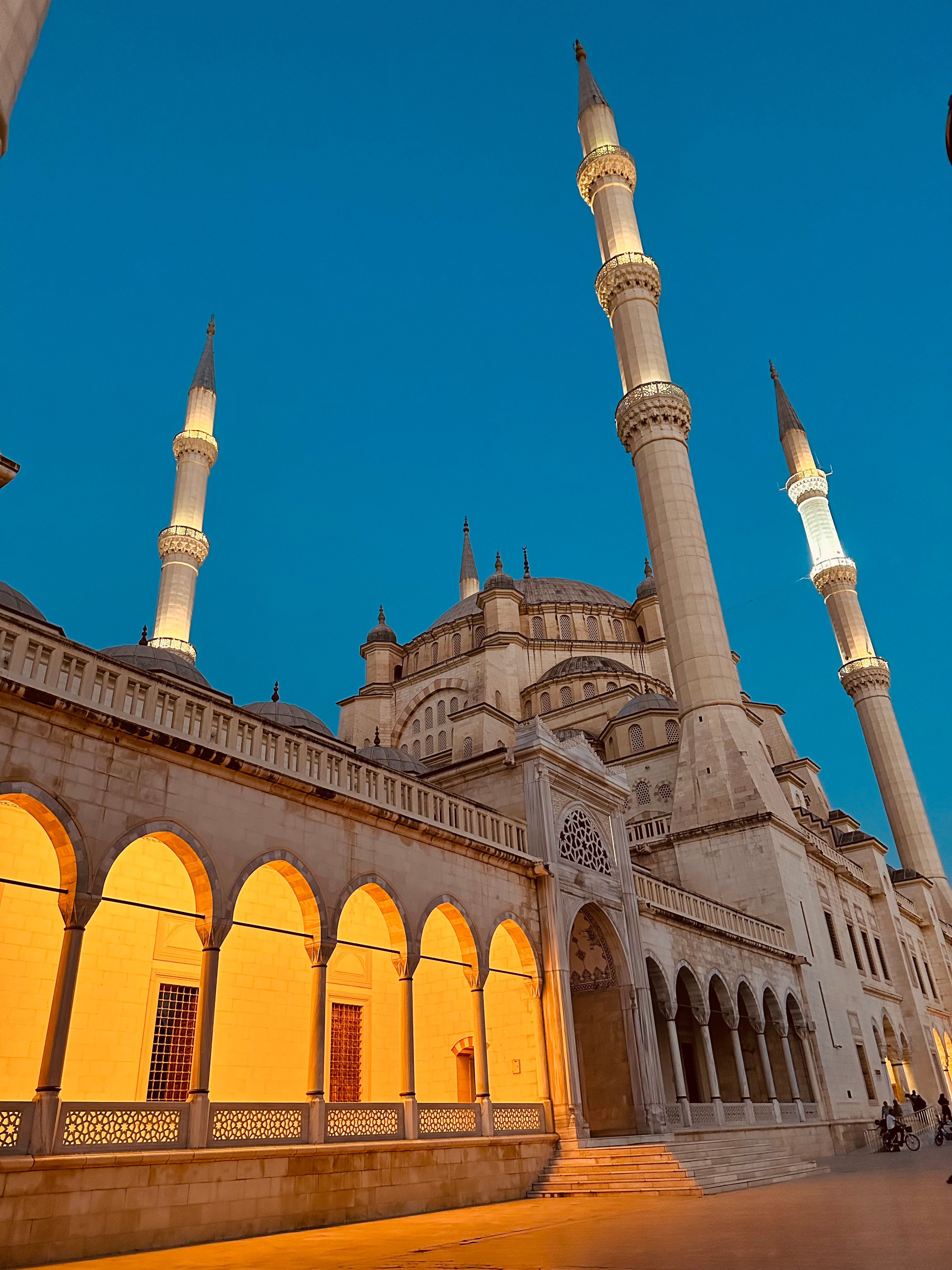 Zeynep Altunkaynak - Photography