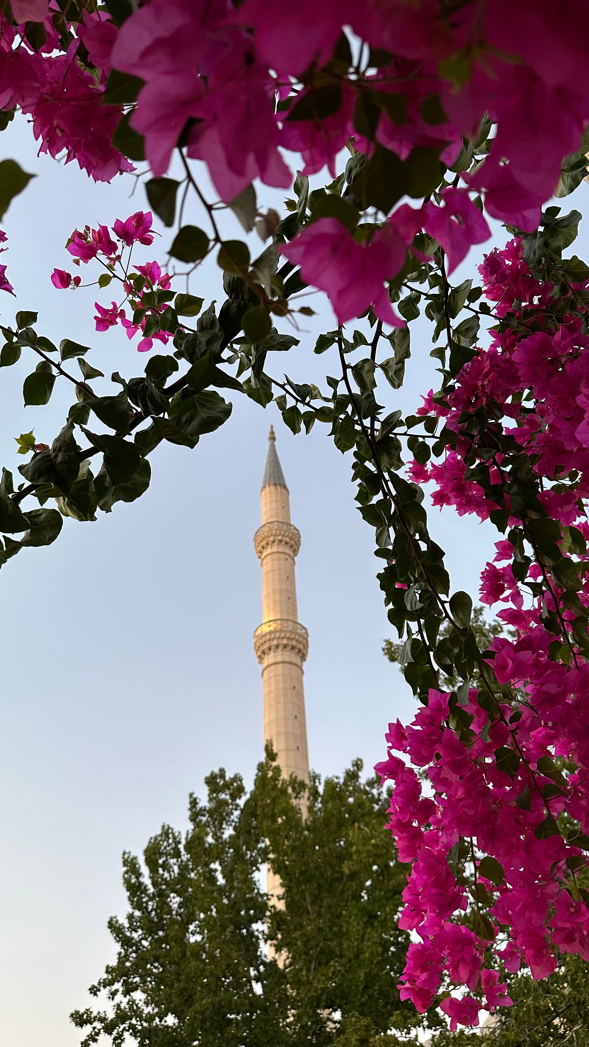 Zeynep Altunkaynak - Photography