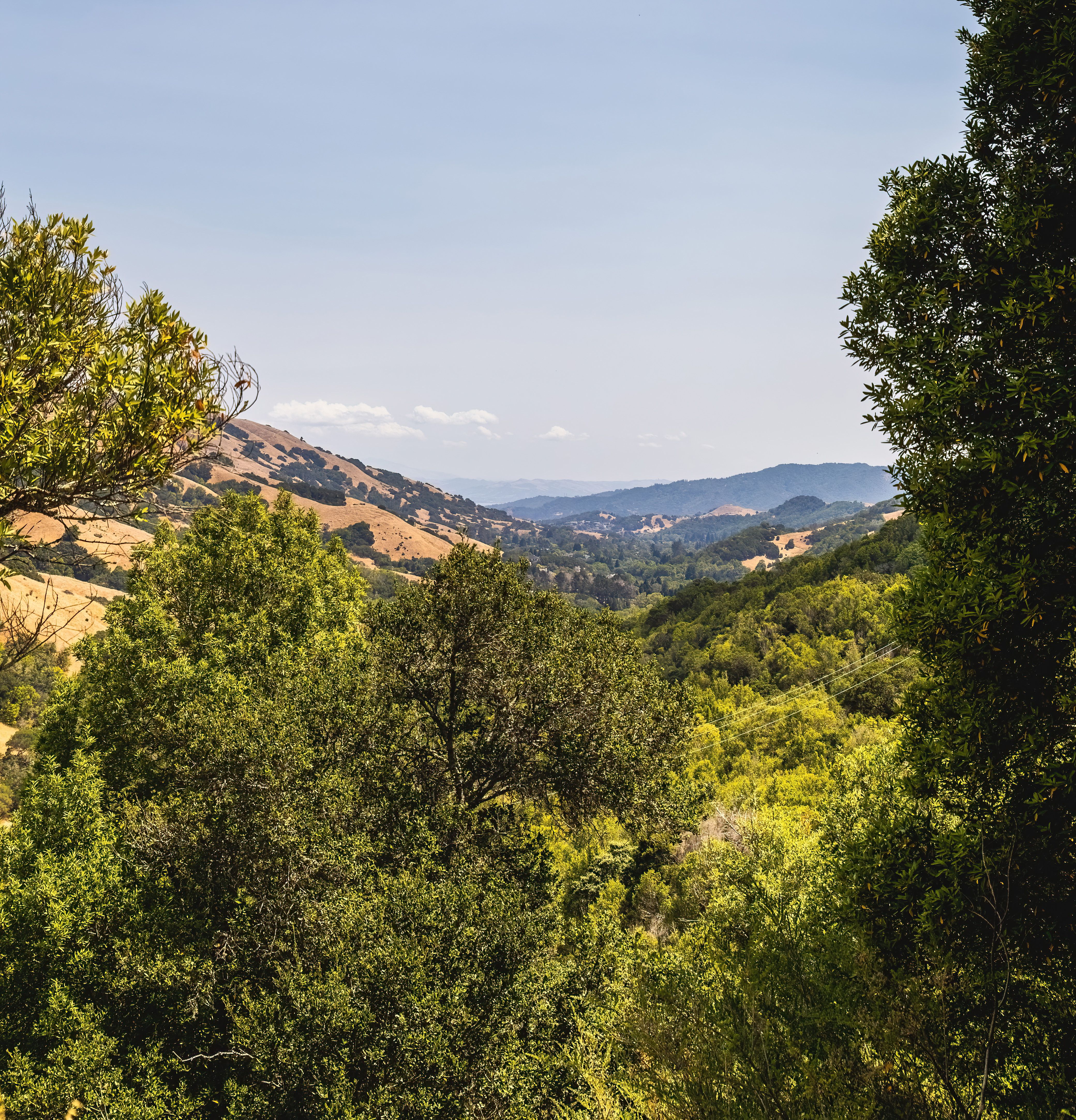 View of a Valley · Free Stock Photo
