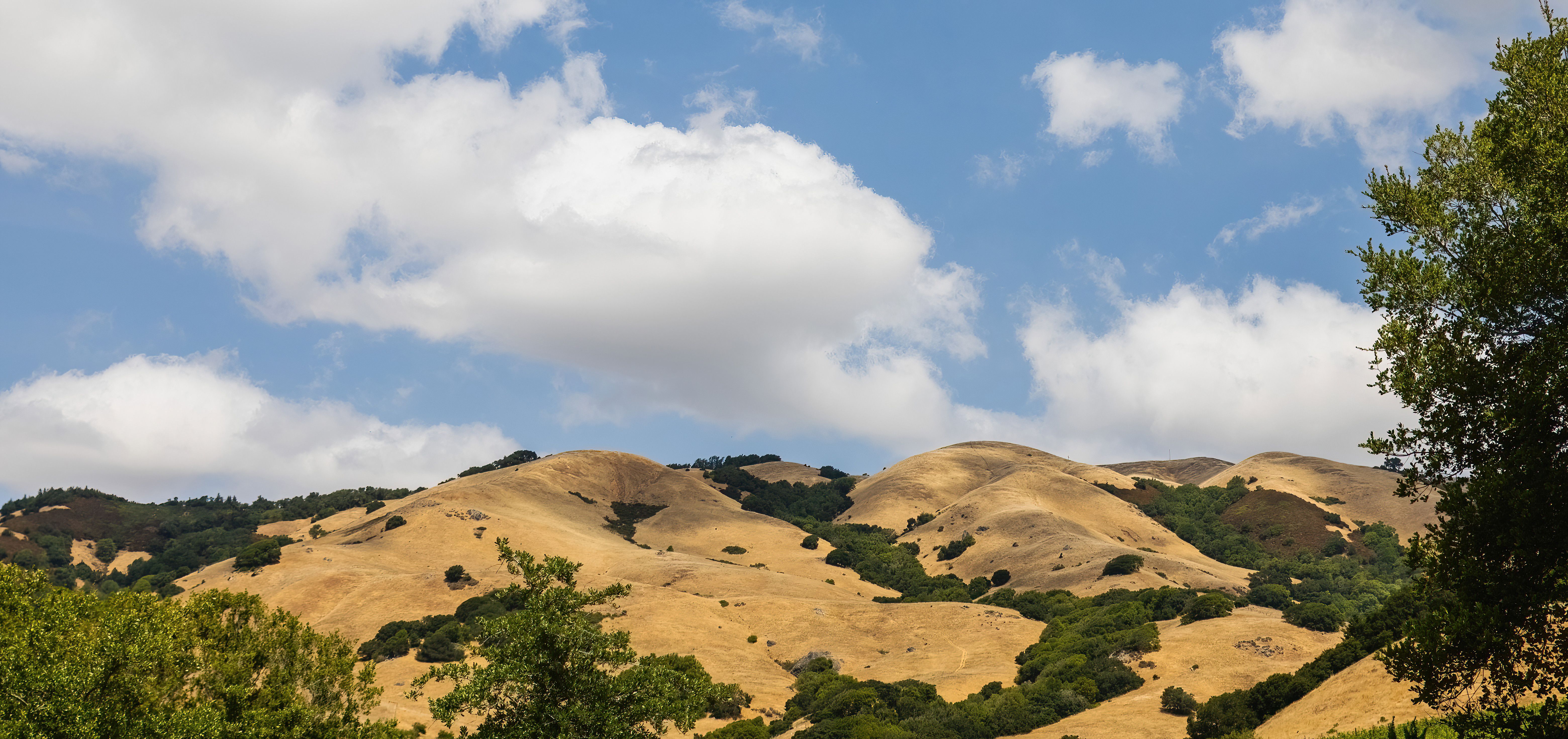 Overground Pipeline on Hill · Free Stock Photo