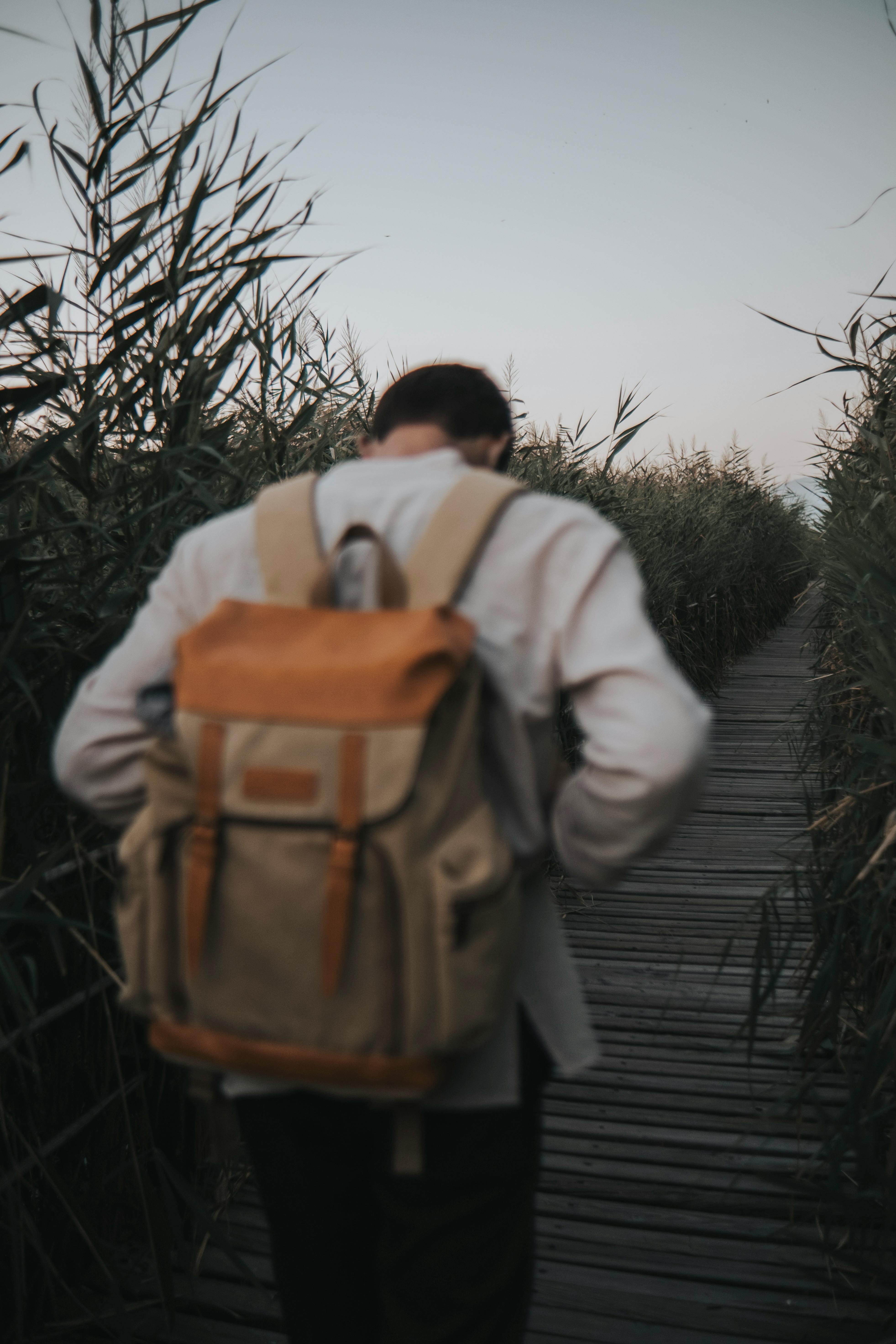 Back View of a Man with a Backpack Walking on a Boardwalk · Free Stock ...