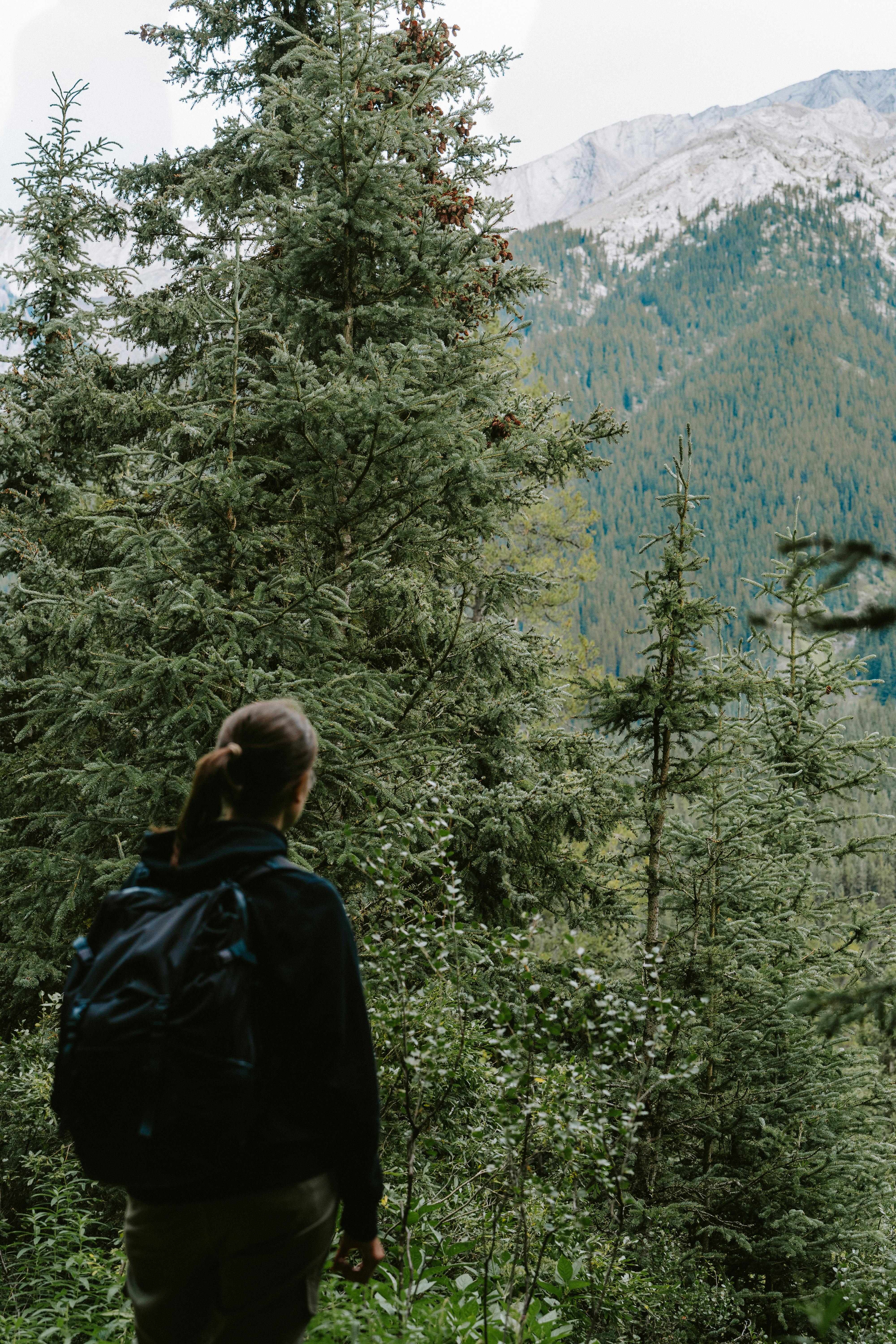 Wandering Photos, Download The BEST Free Wandering Stock Photos & HD Images