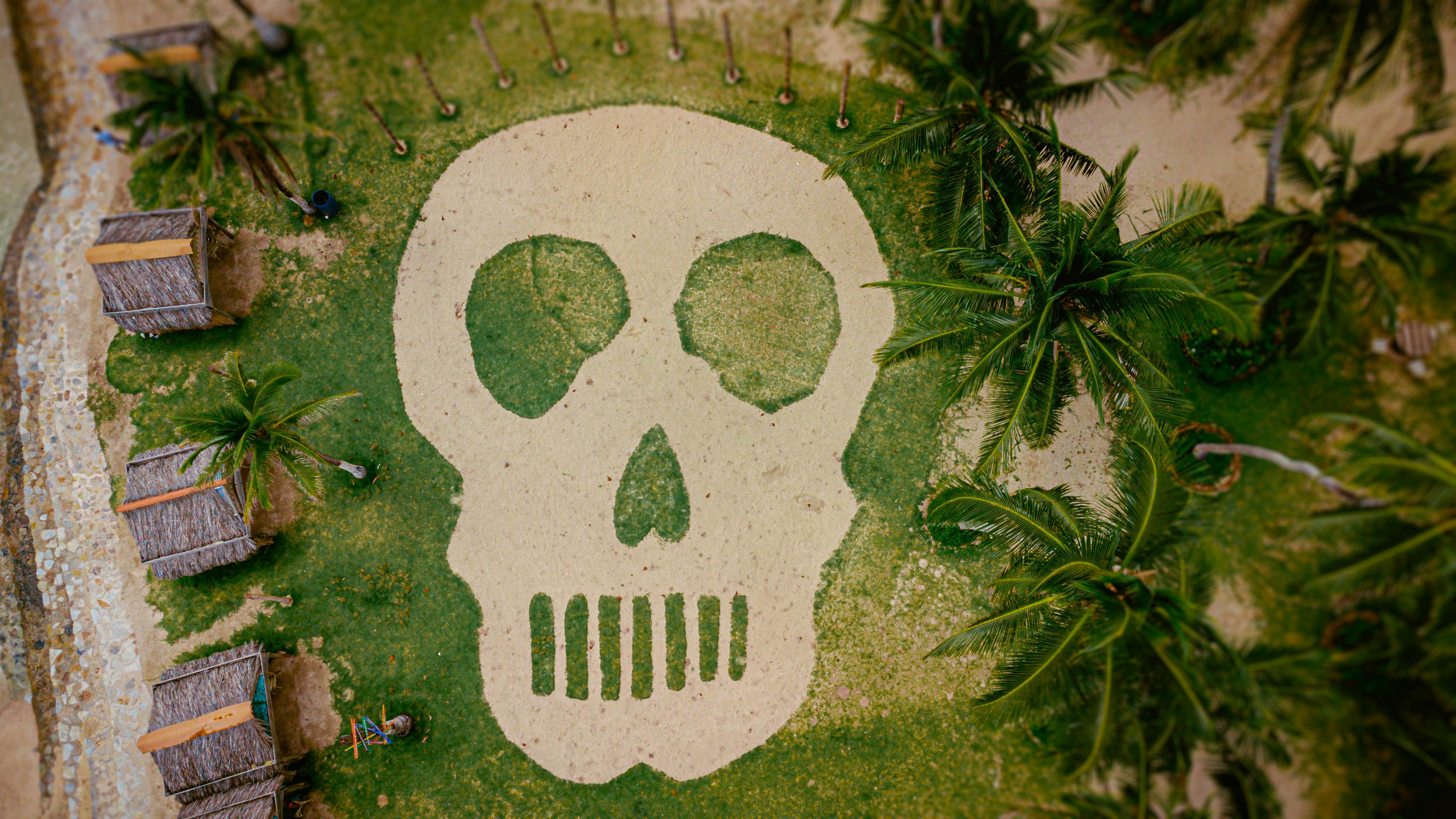 Skull Pfp Photos, Download The BEST Free Skull Pfp Stock Photos & HD Images