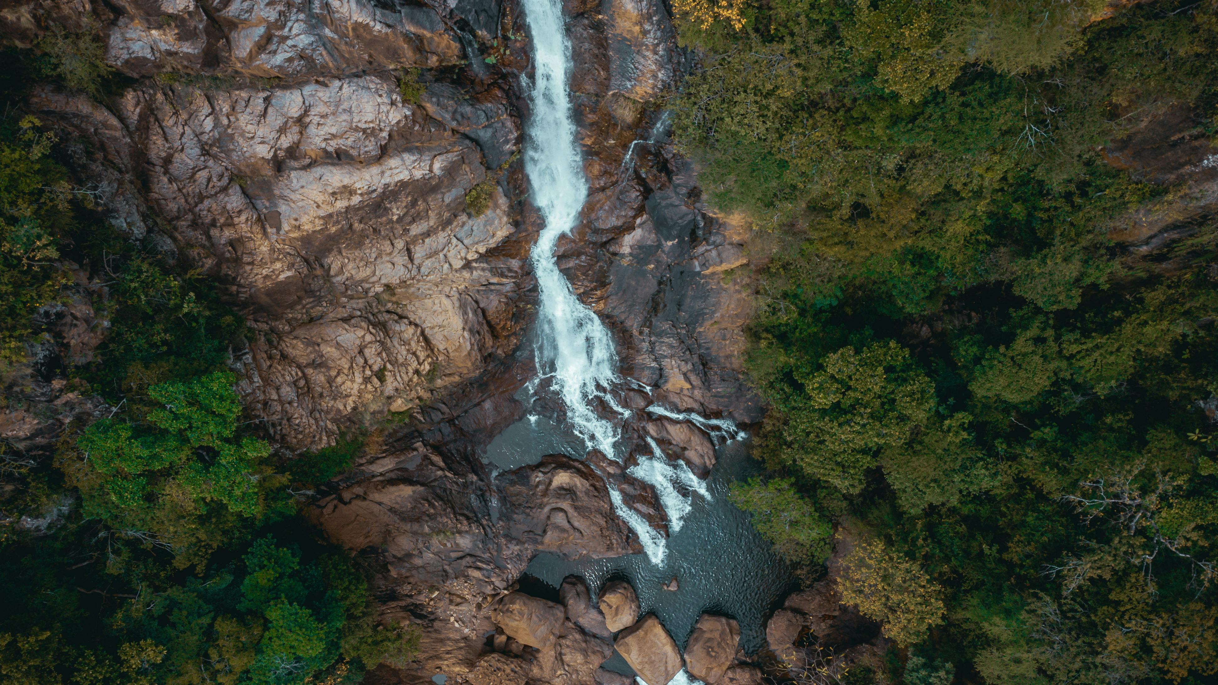 Ola Photos, Download The BEST Free Ola Stock Photos & HD Images