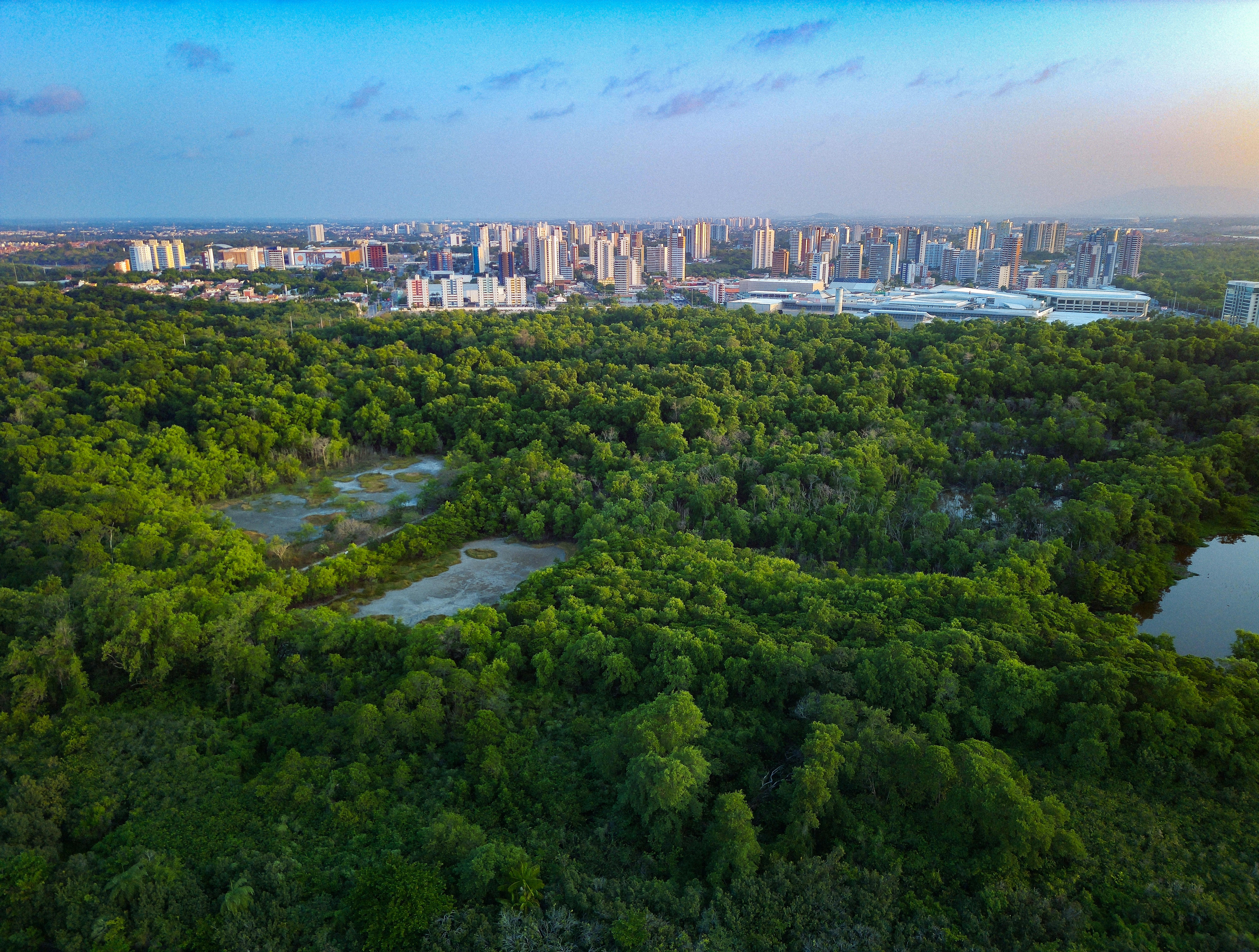 Greener City Photos, Download The BEST Free Greener City Stock Photos ...