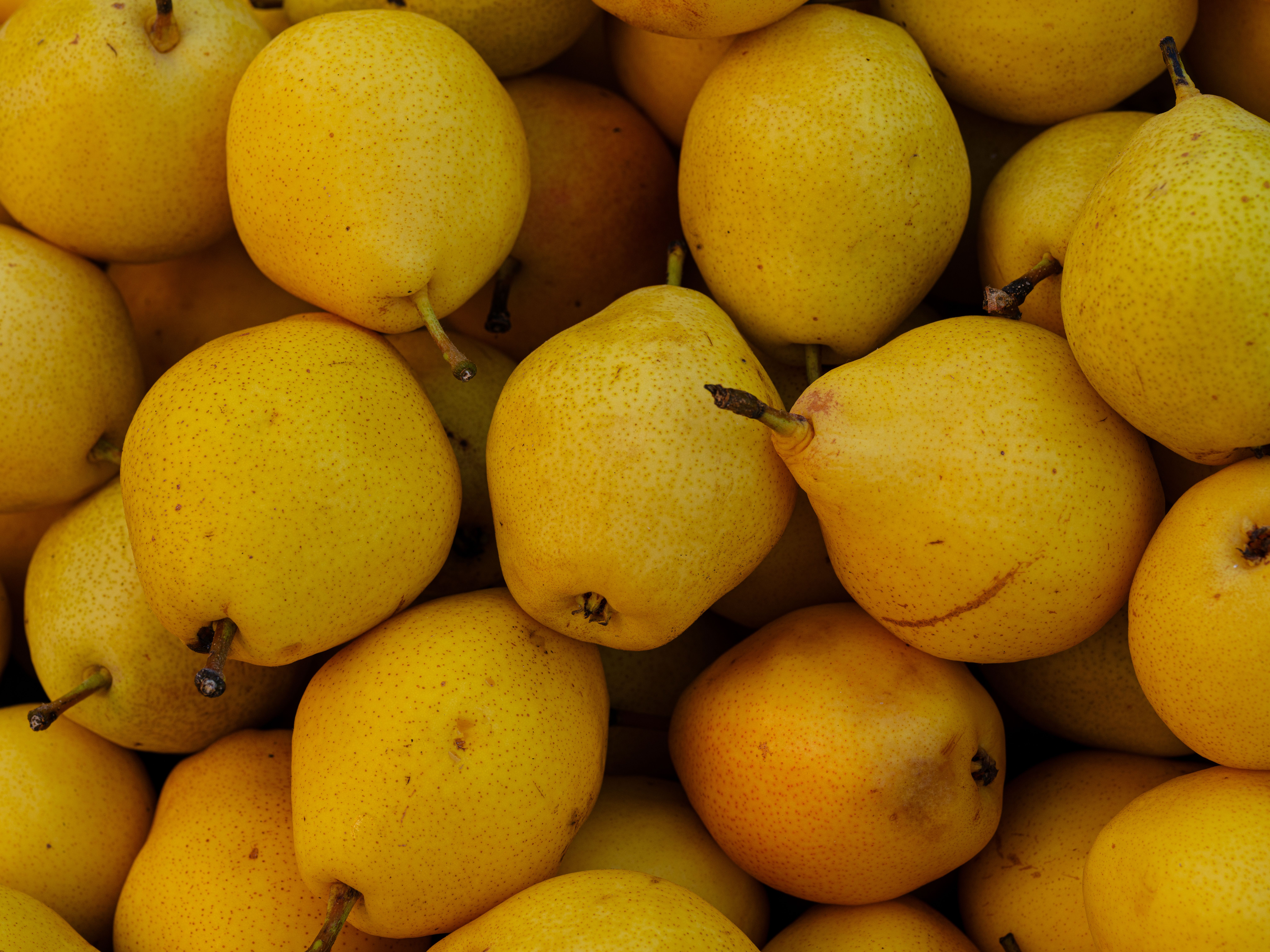 fresh pears at the market · Free Stock Photo