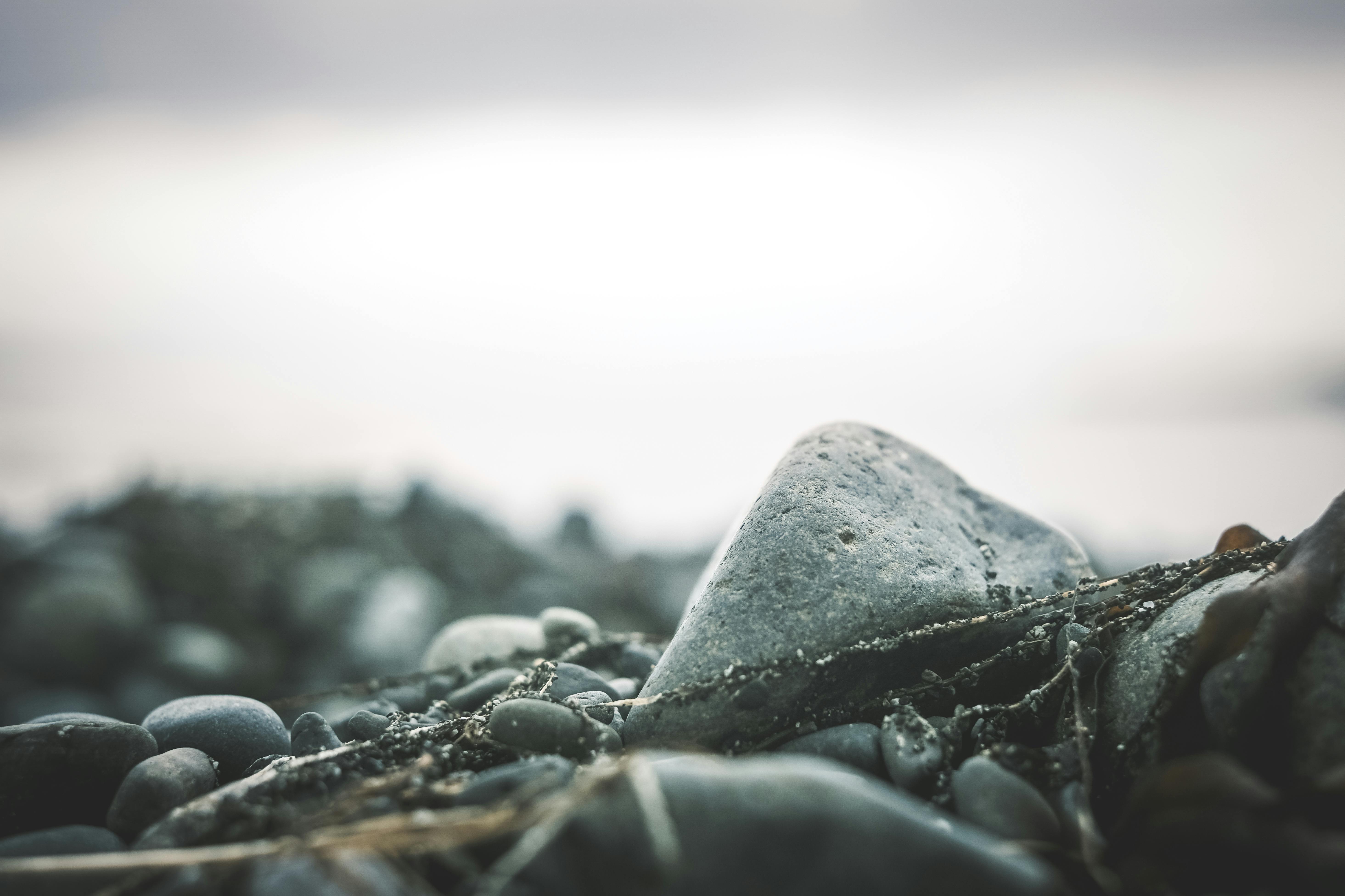 Close-Up Photo of Pebbles on a Beach · Free Stock Photo