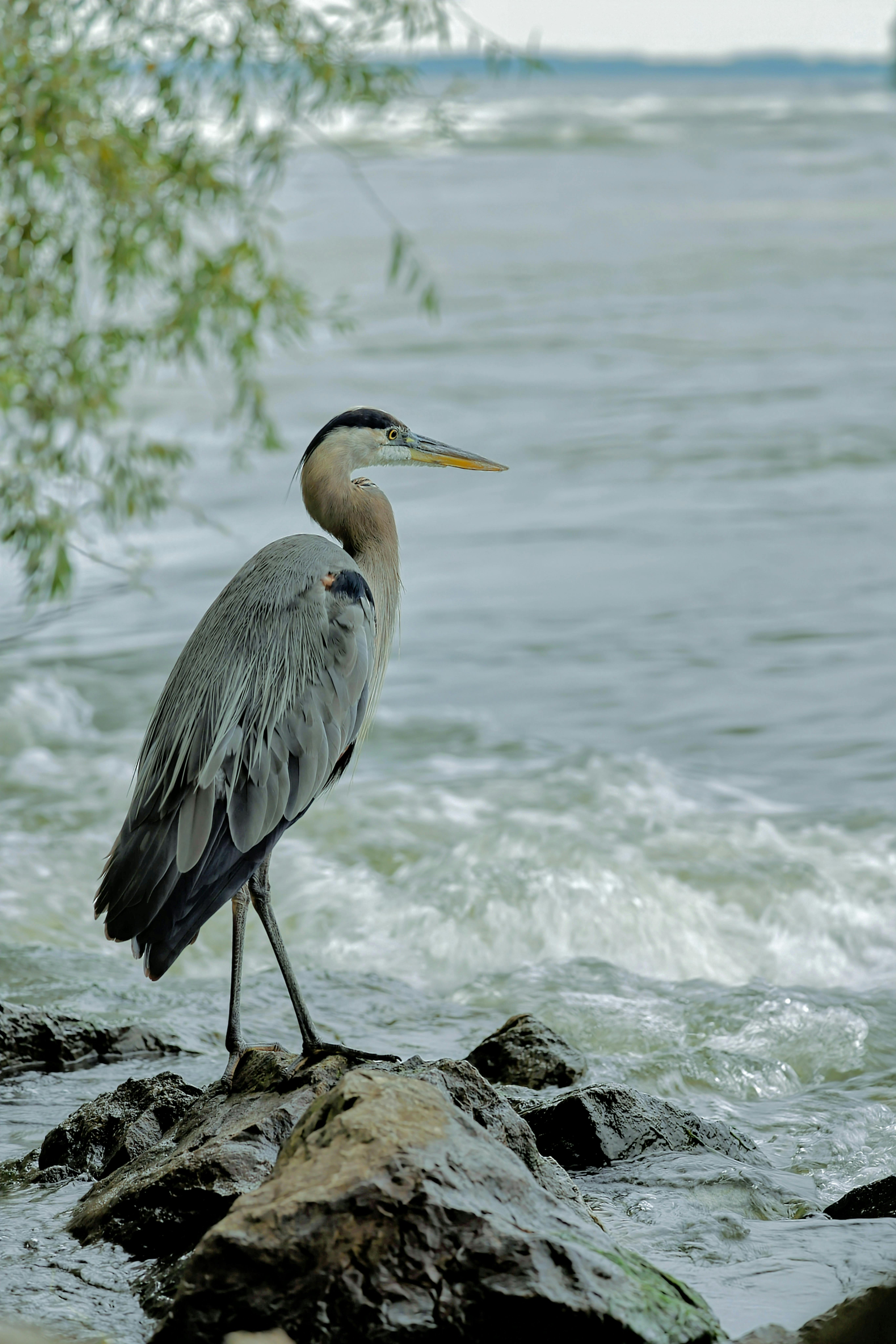 Hoarding Stone Photos, Download The BEST Free Hoarding Stone Stock ...