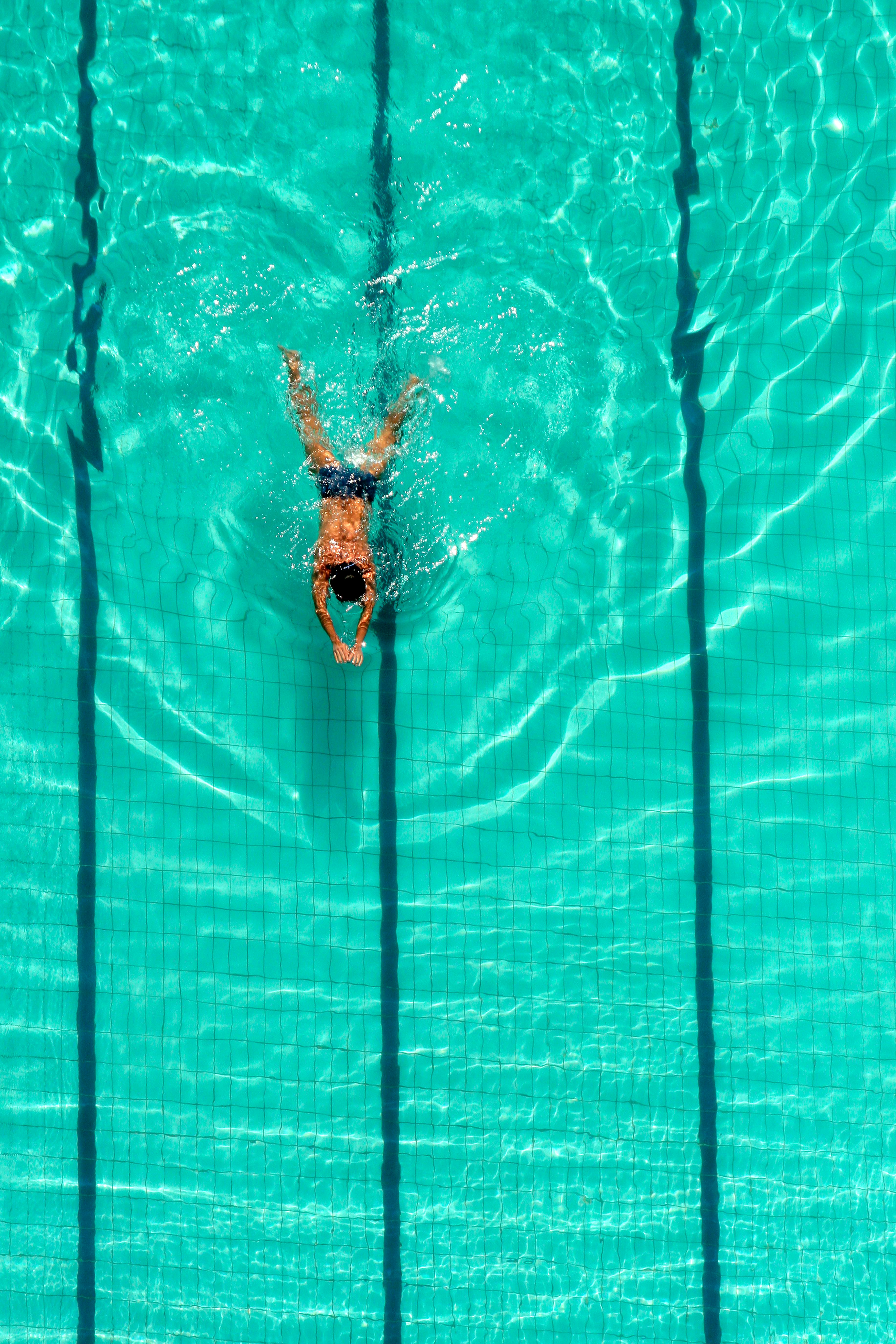 Top View of People in the Swimming Pool · Free Stock Photo