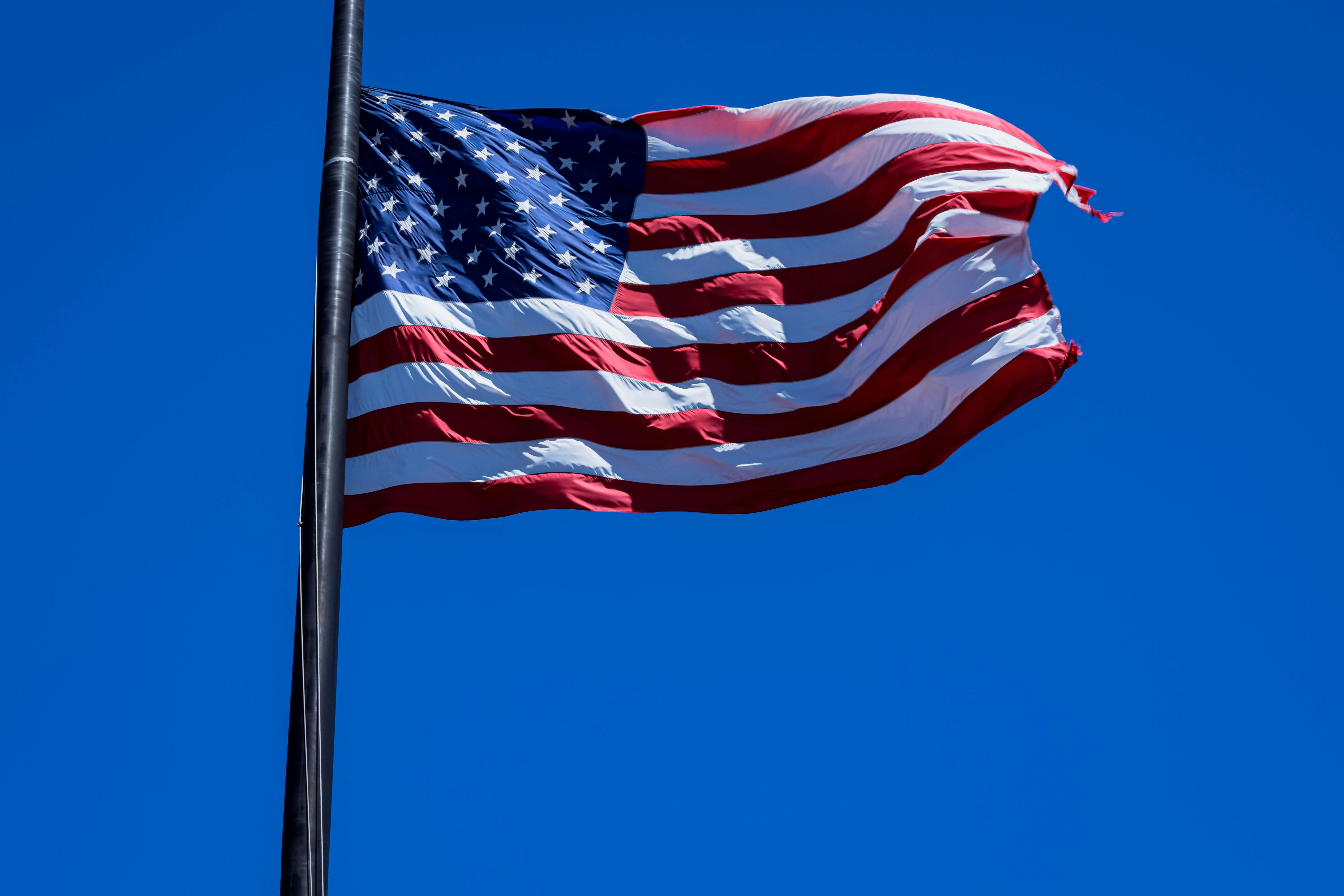 Unifi Photos, Download The BEST Free Unifi Stock Photos & HD Images