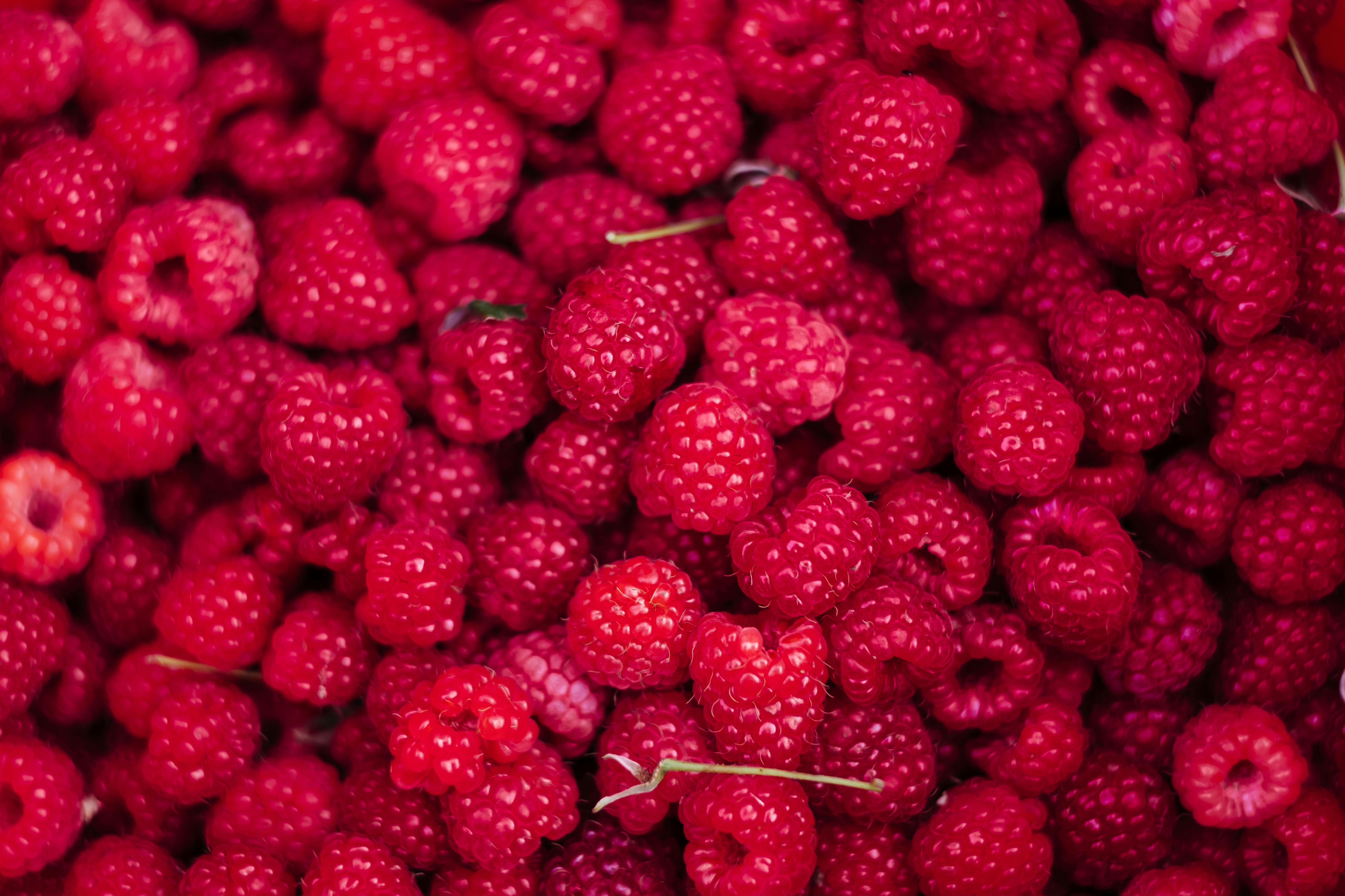 Abundance of Fresh Raspberries · Free Stock Photo