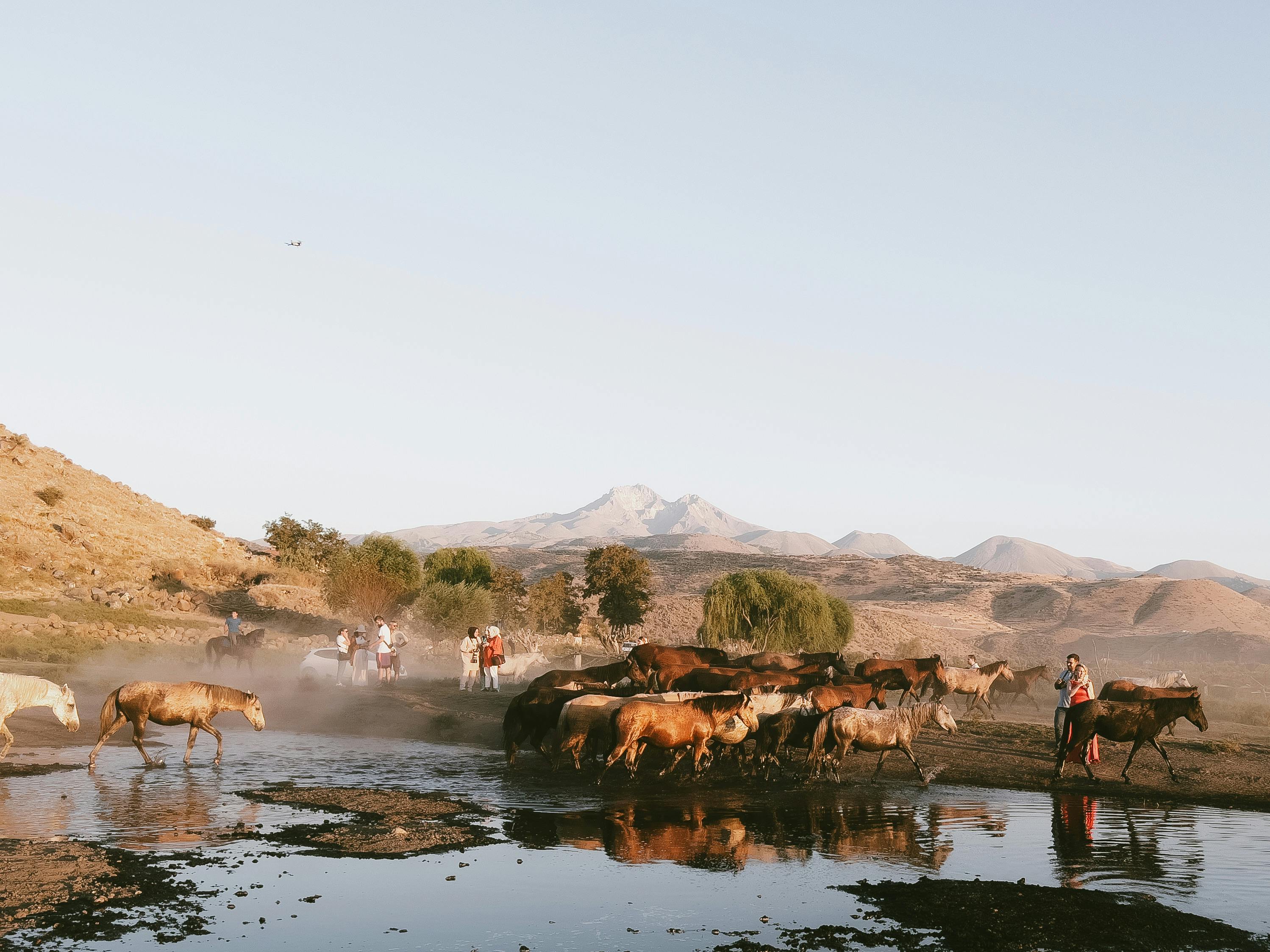 Animated Humans Photos, Download The BEST Free Animated Humans Stock ...