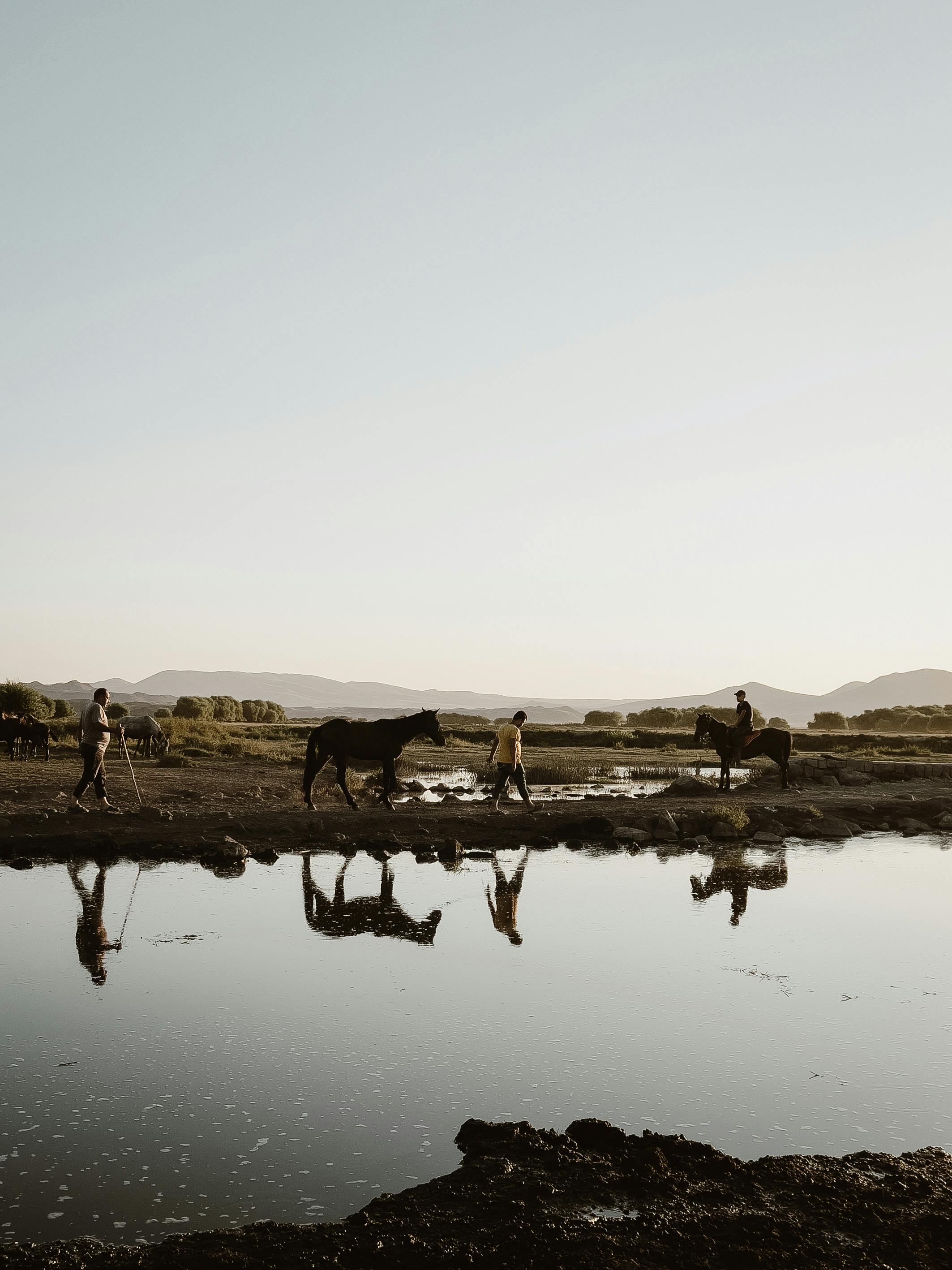 Foto de stock gratuita sobre actividad, agua, al aire libre, amable ...