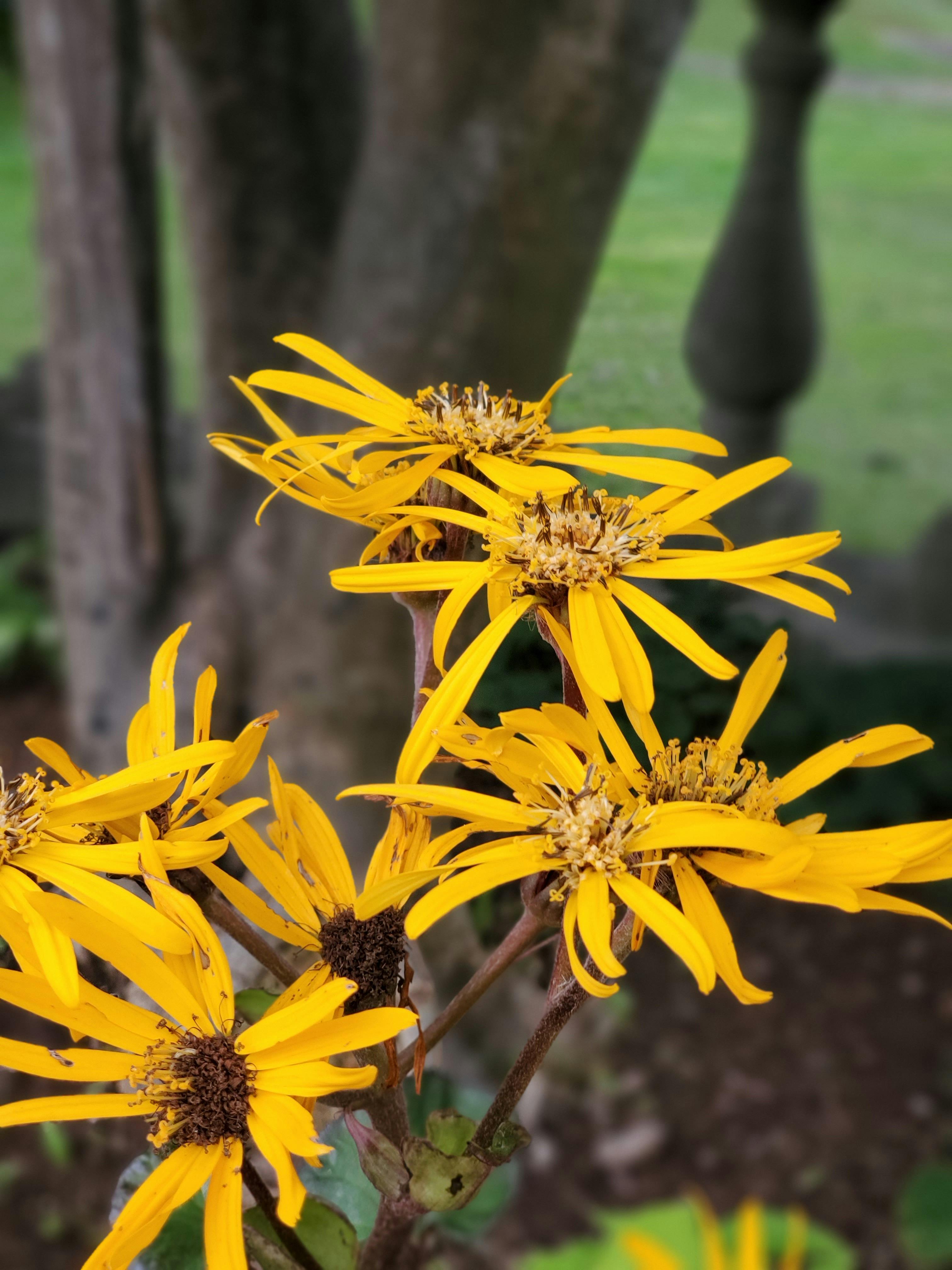 Nicolas Ray - Photography