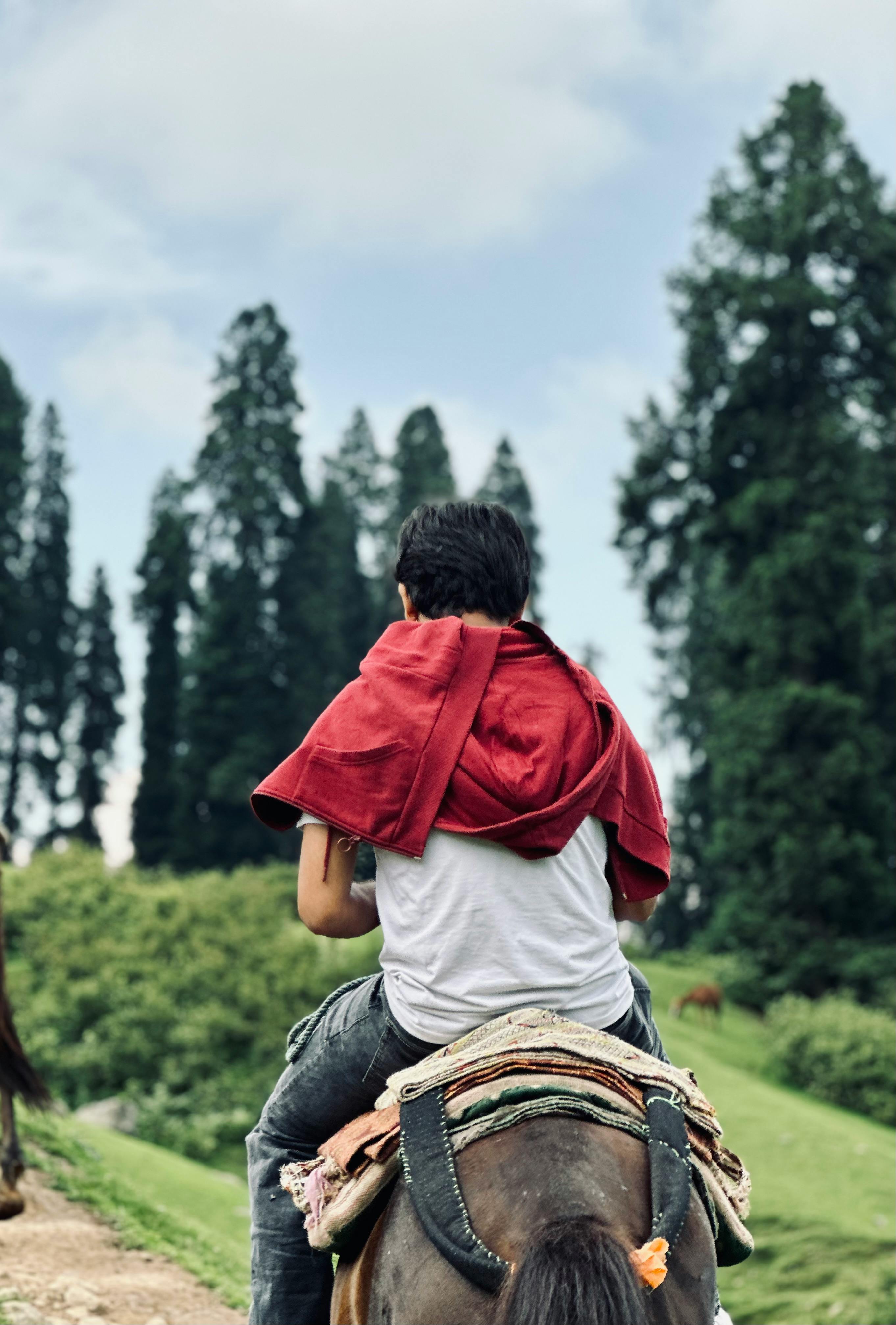 White Black Horse With Boy · Free Stock Photo
