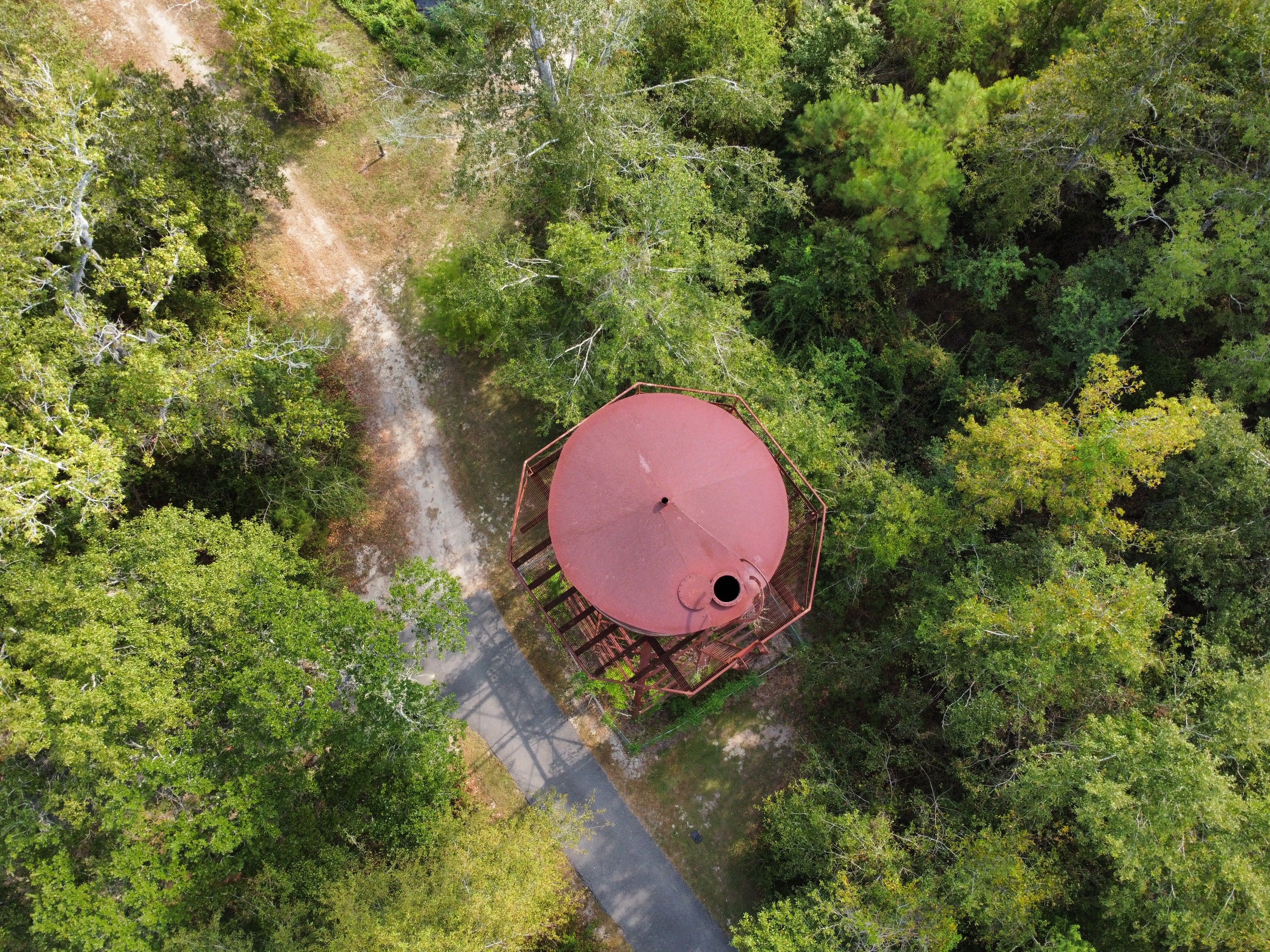 Tower near Road in Forest · Free Stock Photo