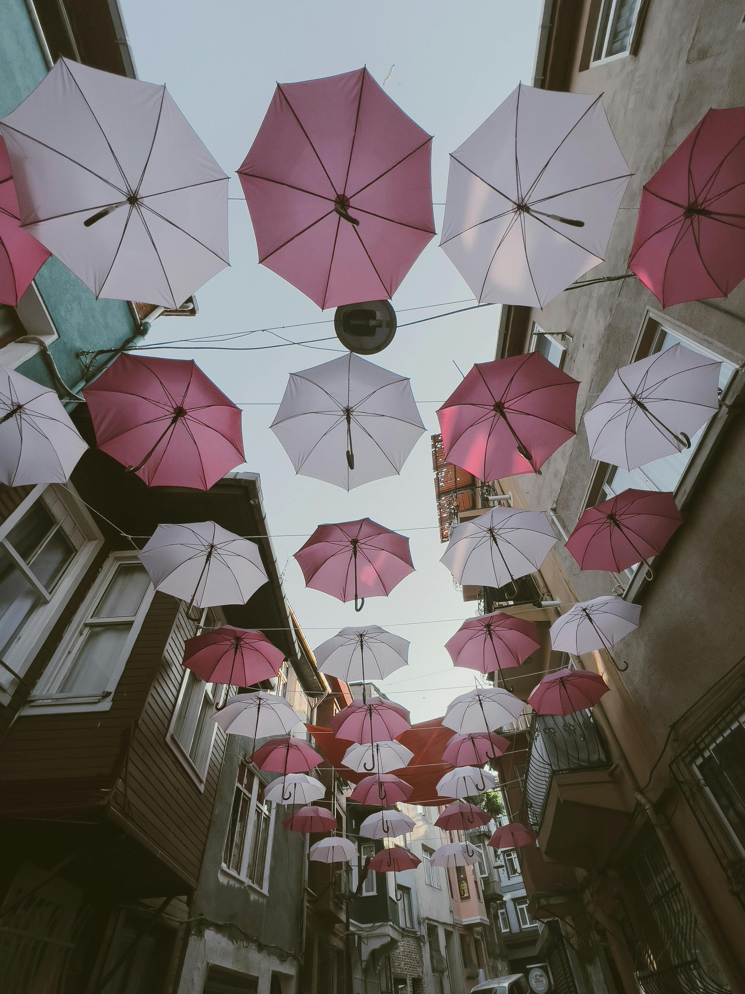 Hanging Chad Meme Photos, Download The BEST Free Hanging Chad Meme ...