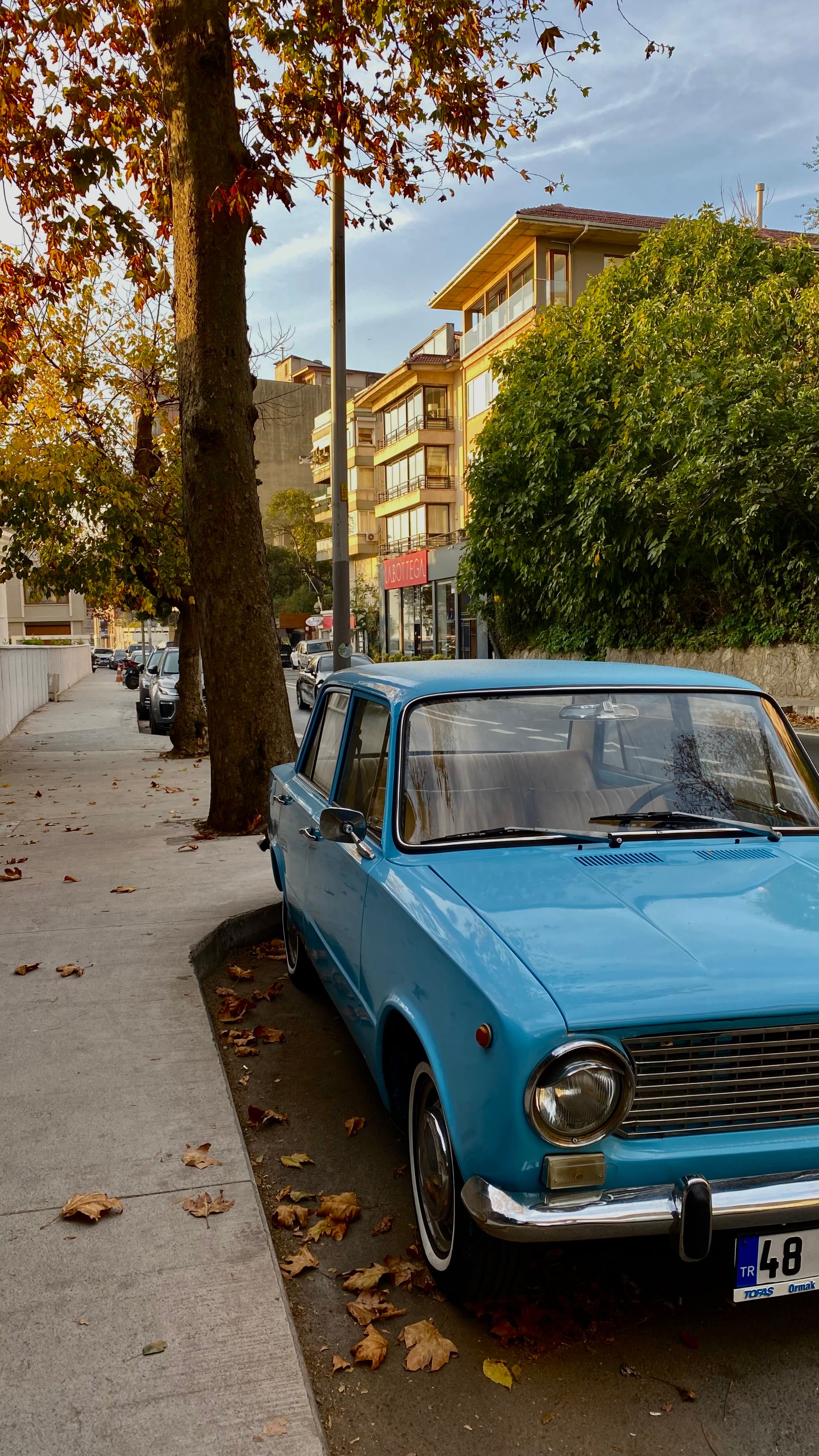 Blue BMW on a Street · Free Stock Photo
