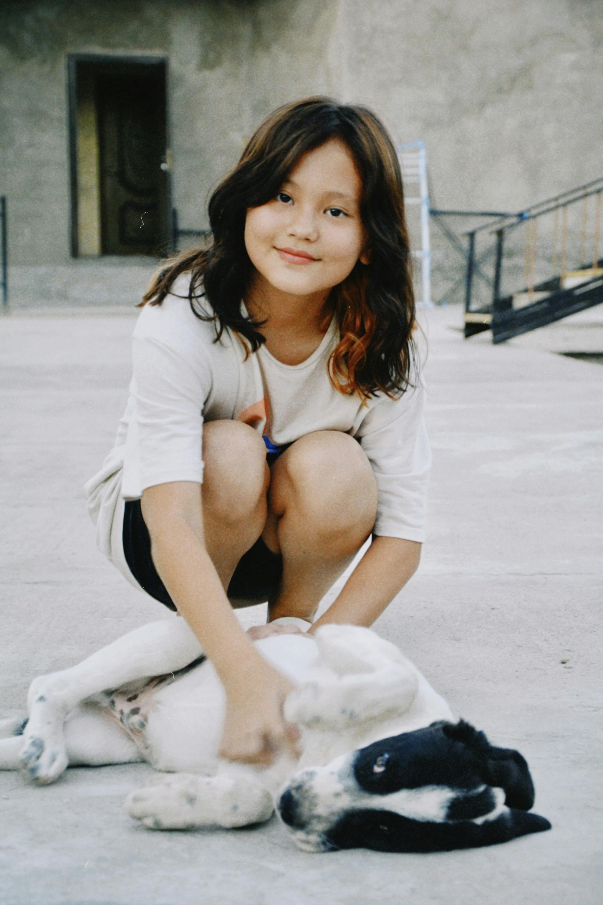 Dog Turn Photos, Download The BEST Free Dog Turn Stock Photos & HD Images