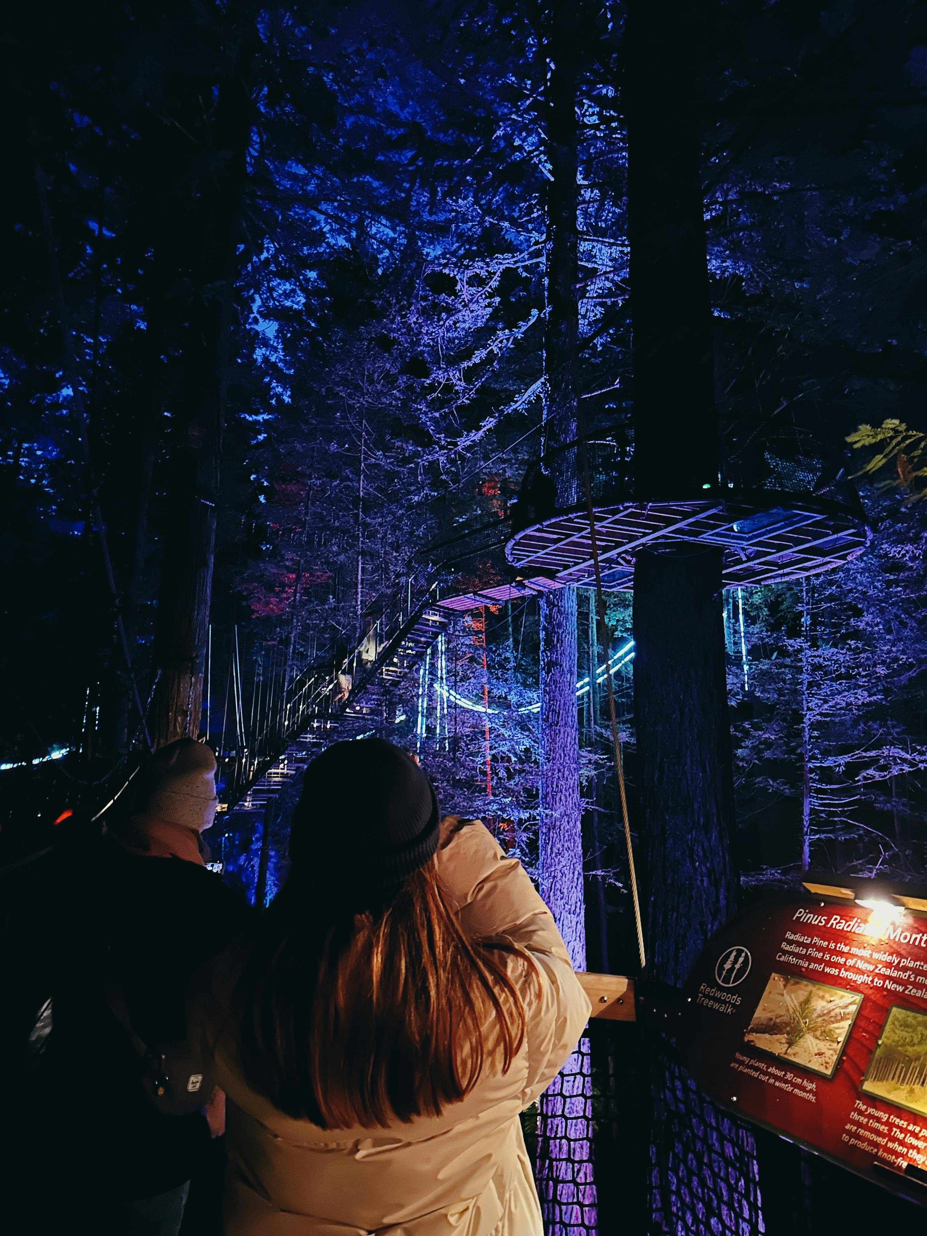 Nicholas Ang - 摄影