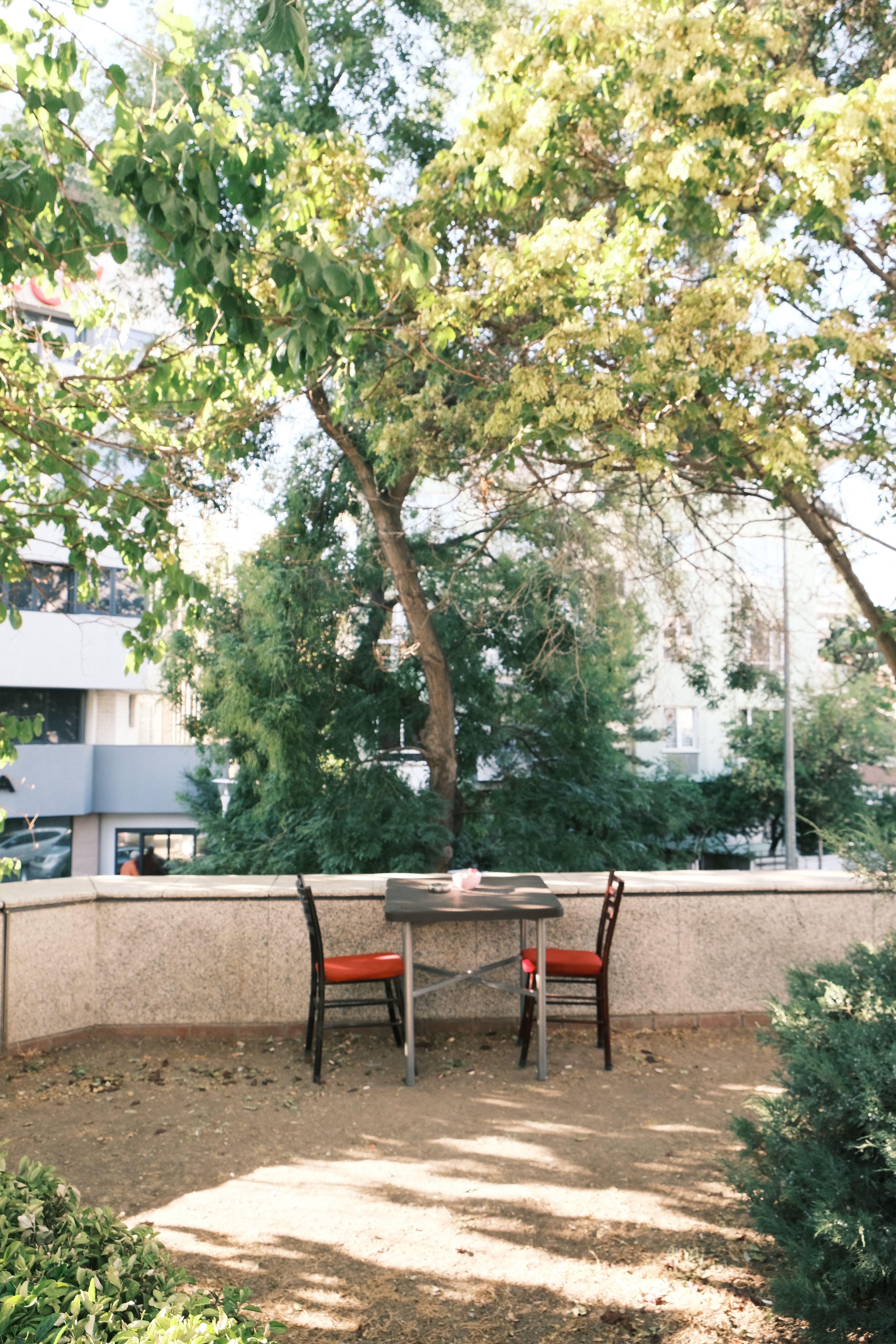Trees over Table and Chairs by Wall · Free Stock Photo