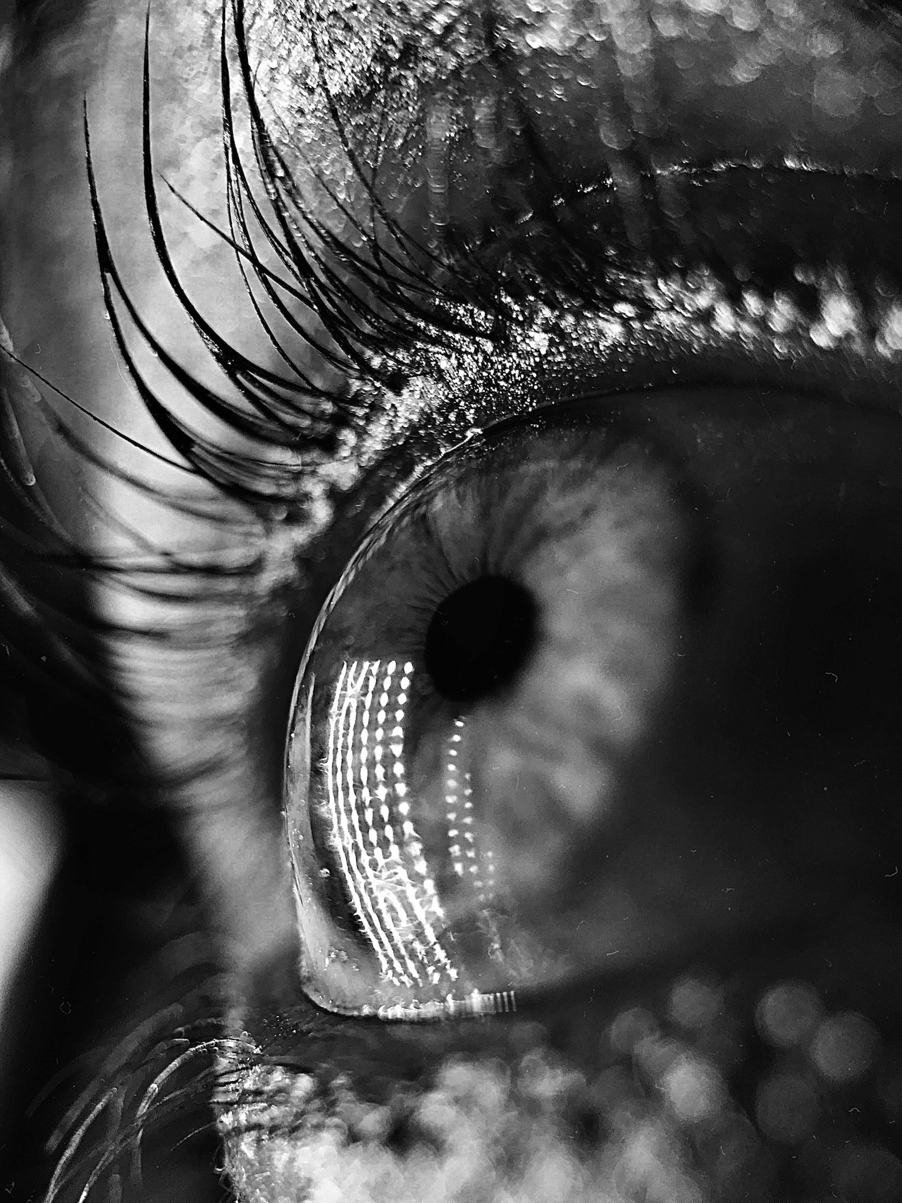 Extreme Close-up Shot of Human's Eye · Free Stock Photo