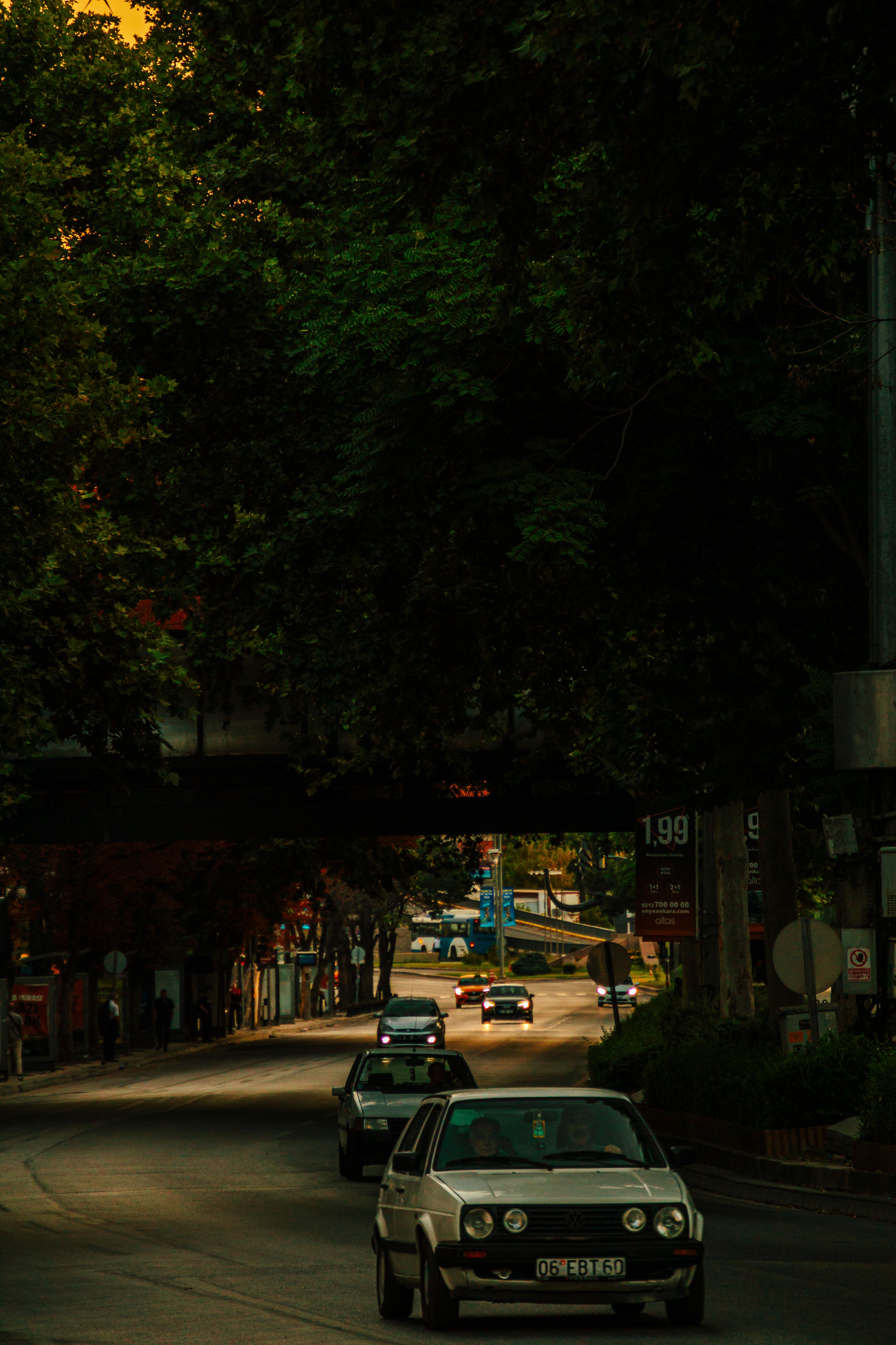 Street in City Among Trees · Free Stock Photo